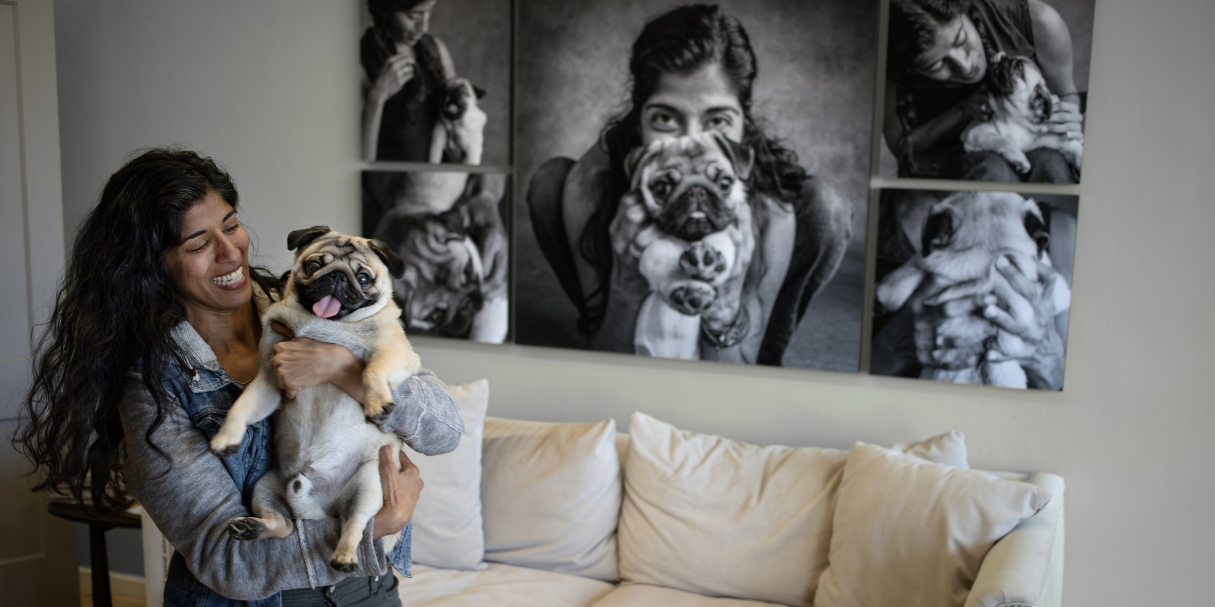 Family & Pet Photography Evanston - David Sutton Studios