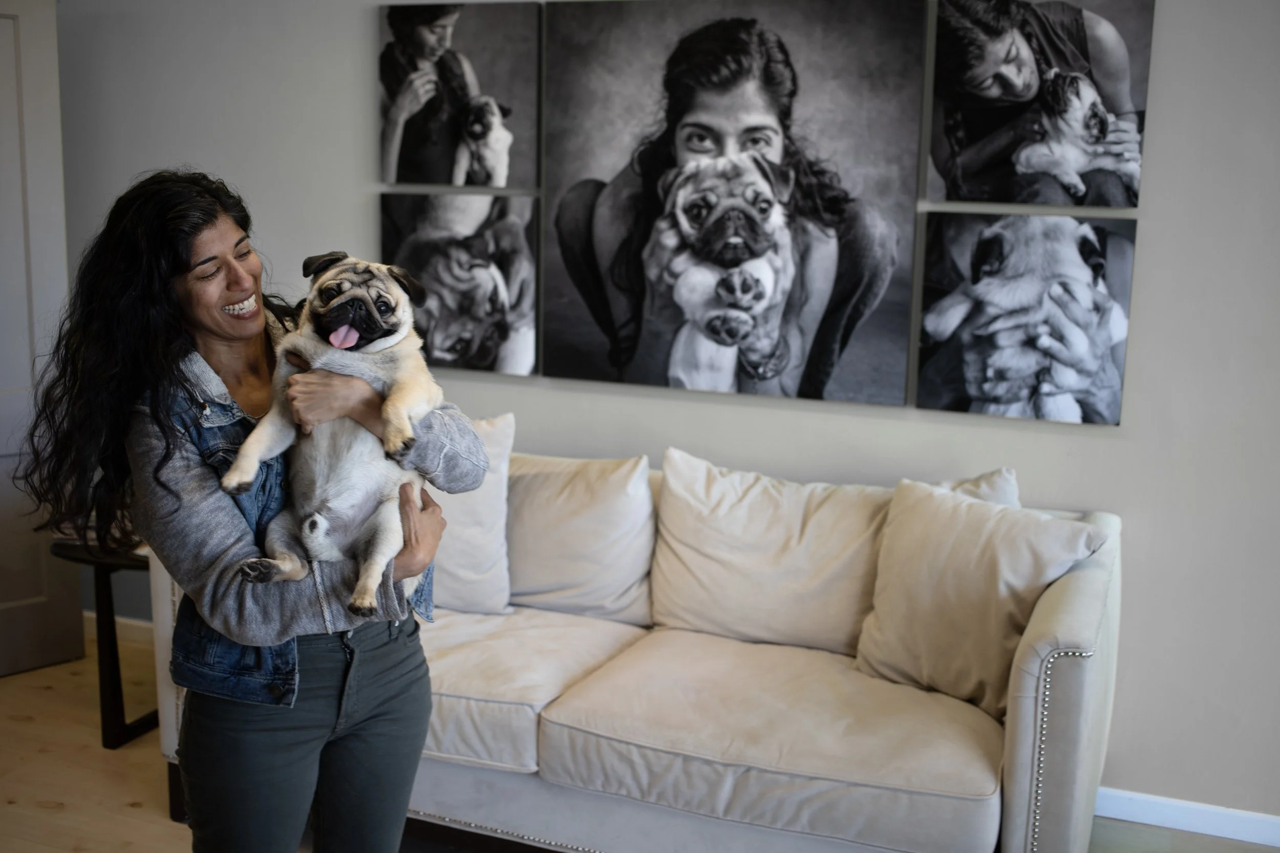 Family & Pet Photography Evanston - David Sutton Studios