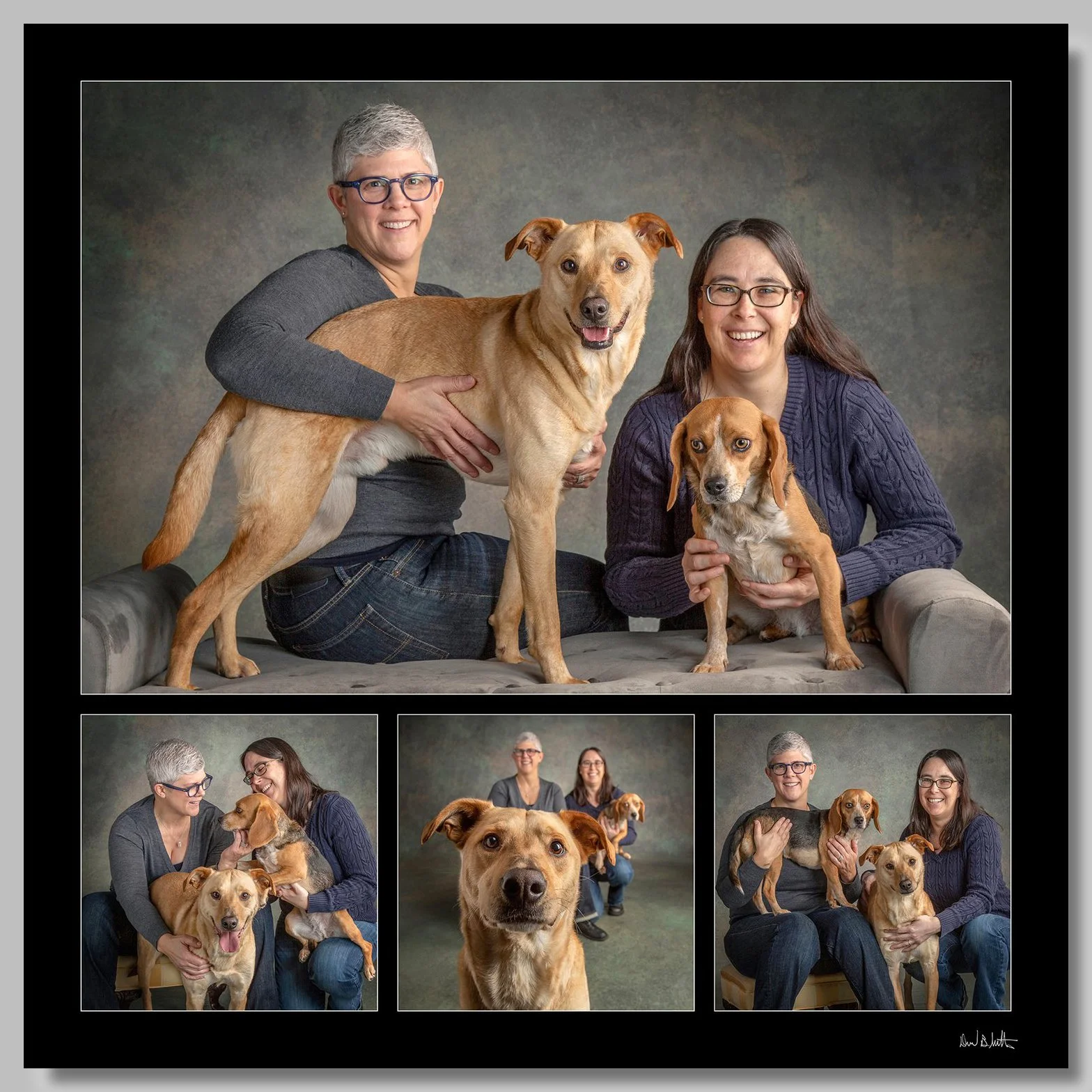 Family & Pet Photography Evanston - David Sutton Studios