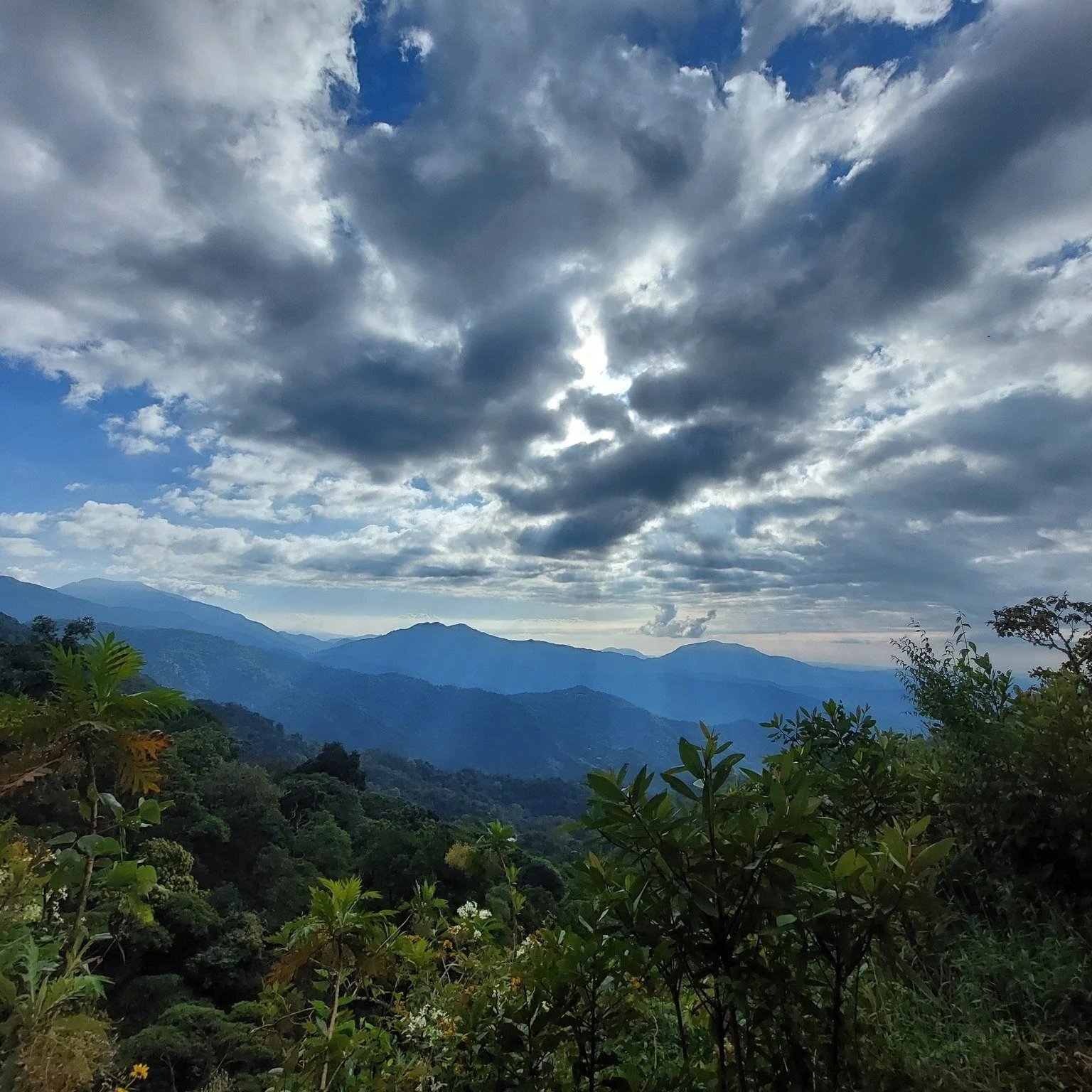 Echelon Coffee Roasters