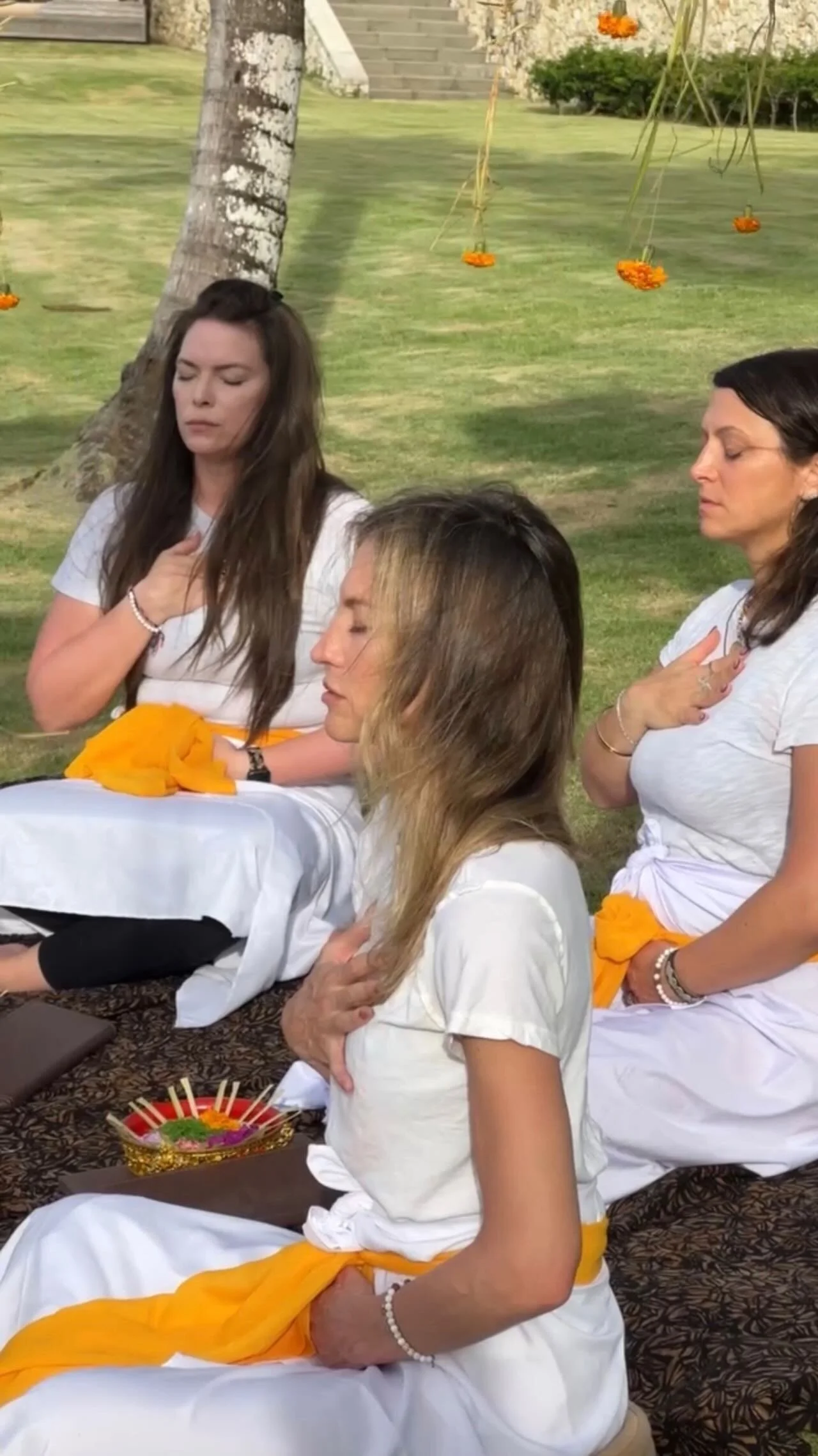 7 Day Reset Program — Kim Strother