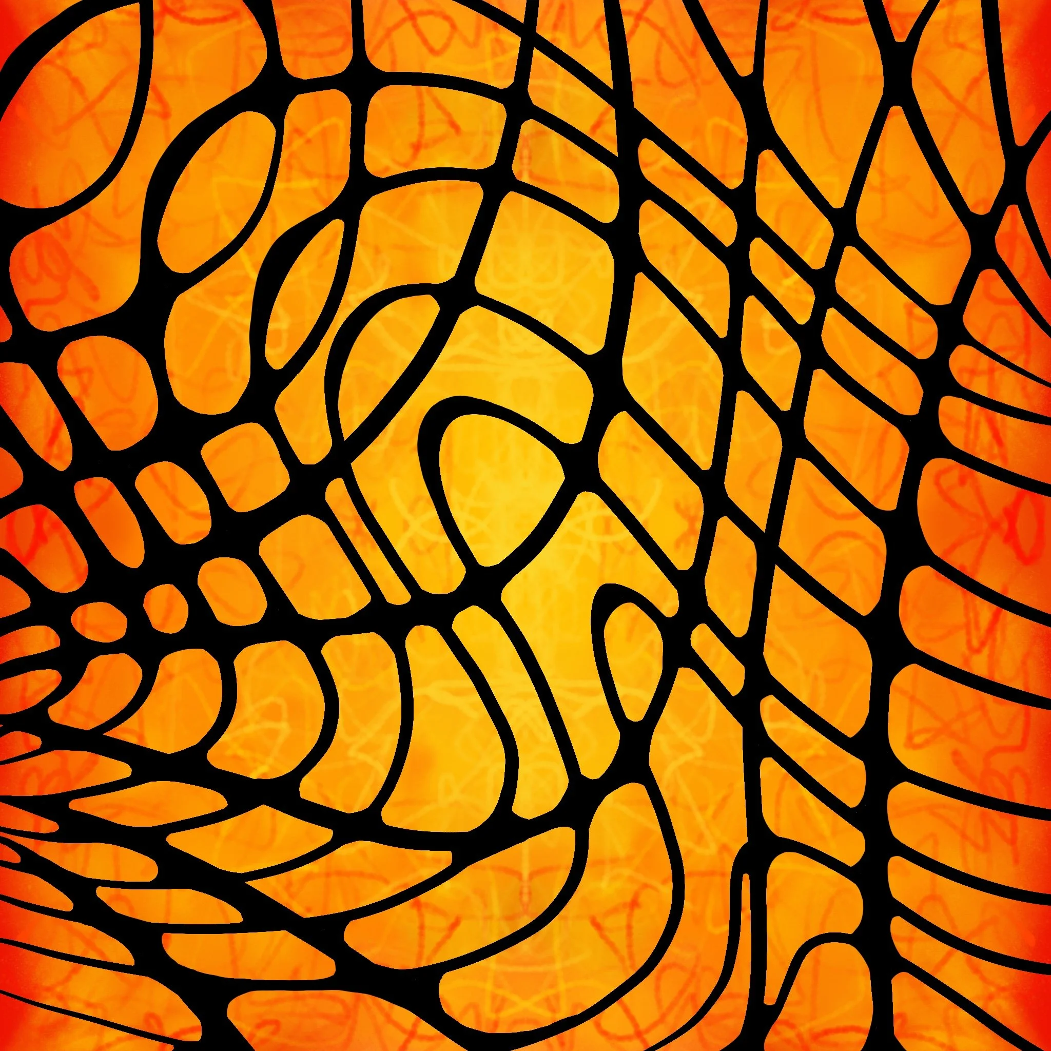 Shop — Dari Calamari