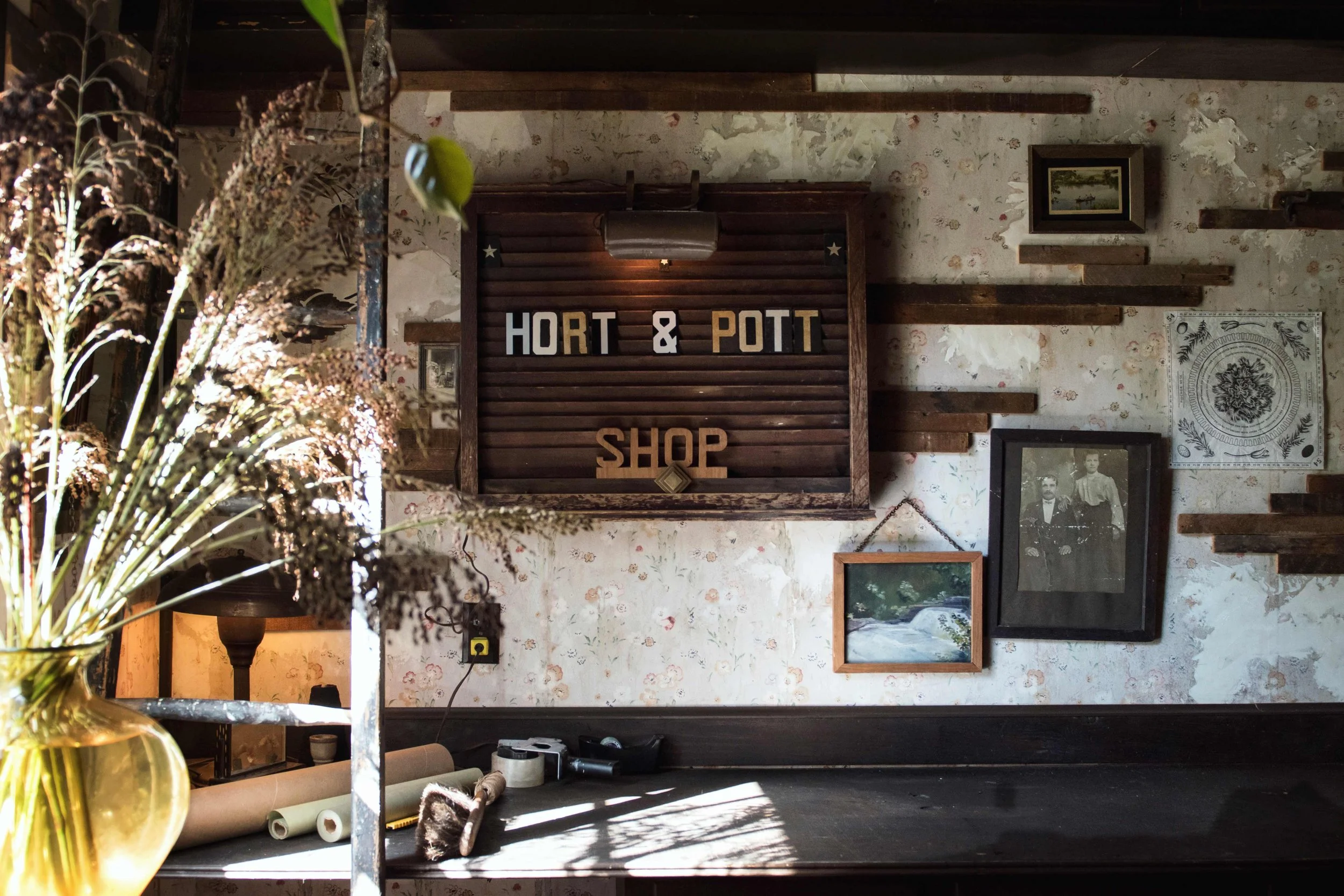 Natural Wonders — Lonny