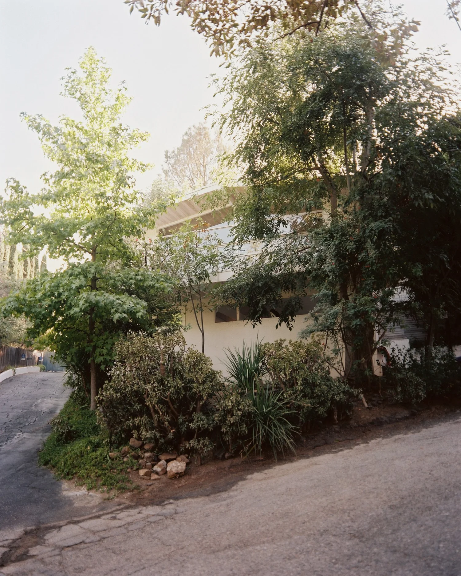 Pacific Overtures — Lonny