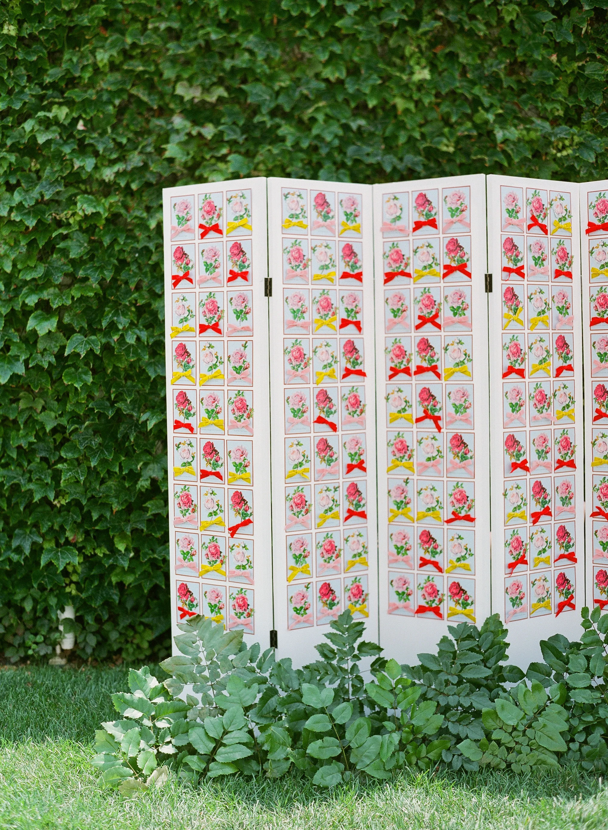 Colleen & Steve — Laura Formisano