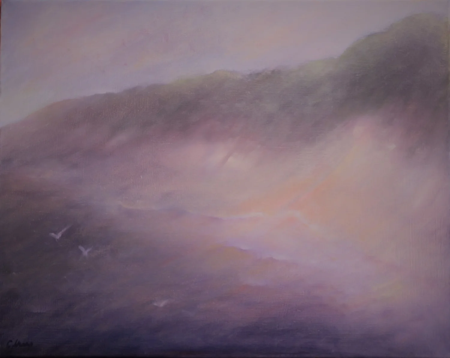 Nature / Landscape 2 — Caroline Sharp