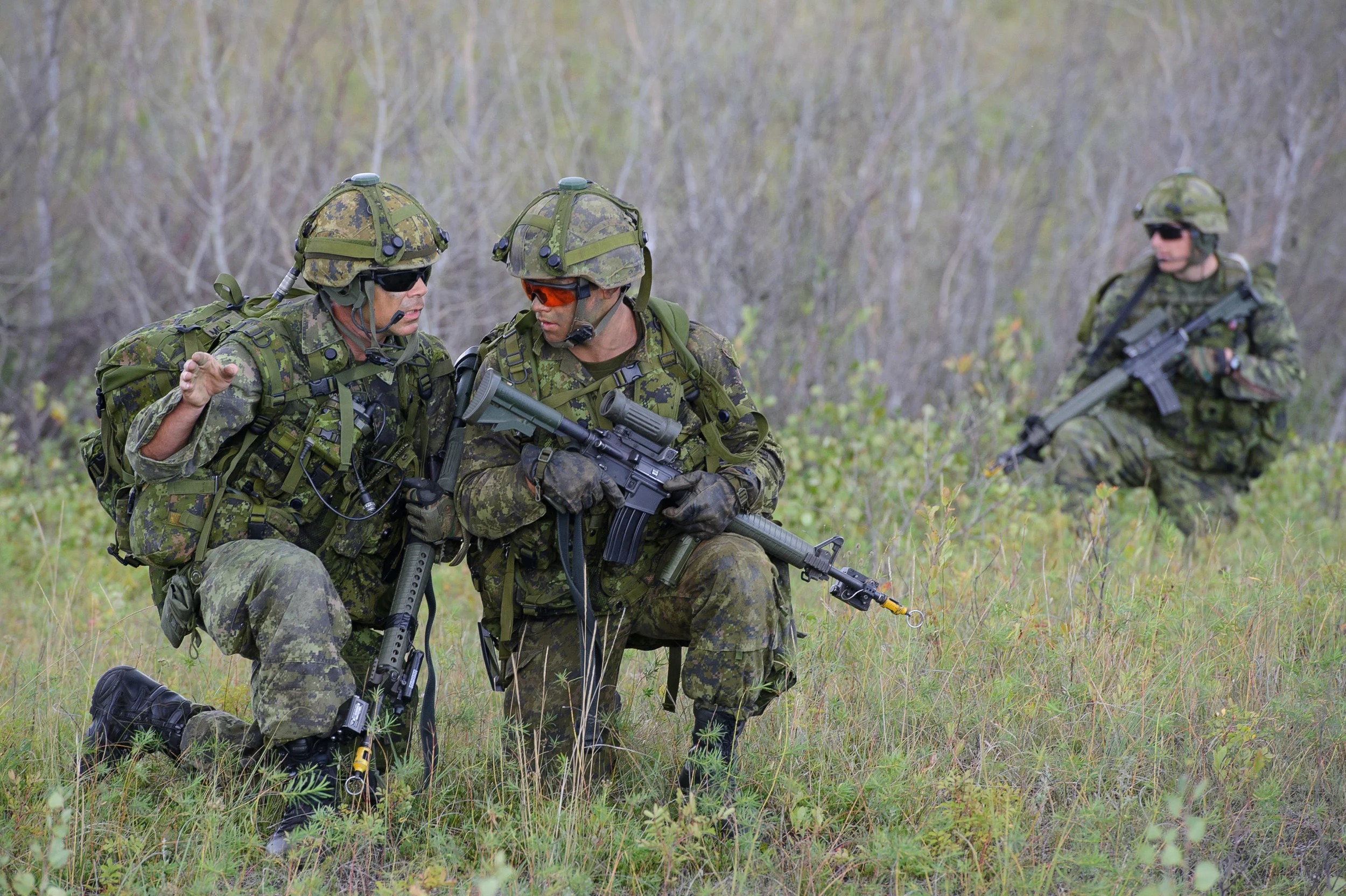 The Royal Winnipeg Rifles