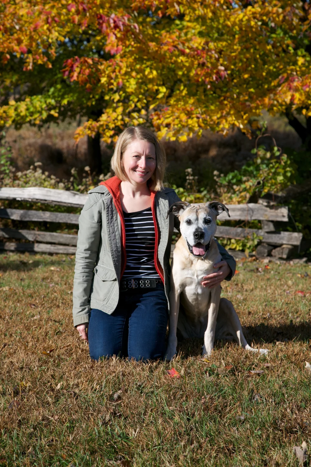 Trained Animal Actors Models for Advertising Film and Video shoots ...