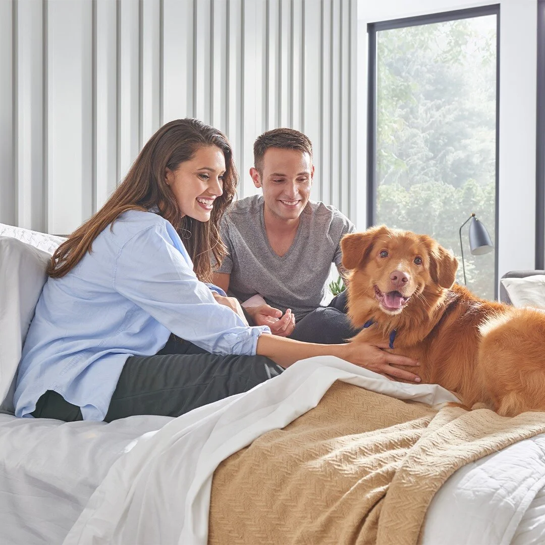 Dognerd Animal Talent Agency | Animal Actors, Casting, Production ...