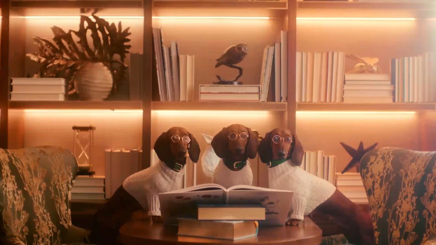 Dognerd Animal Talent Agency | Animal Actors, Casting, Production ...