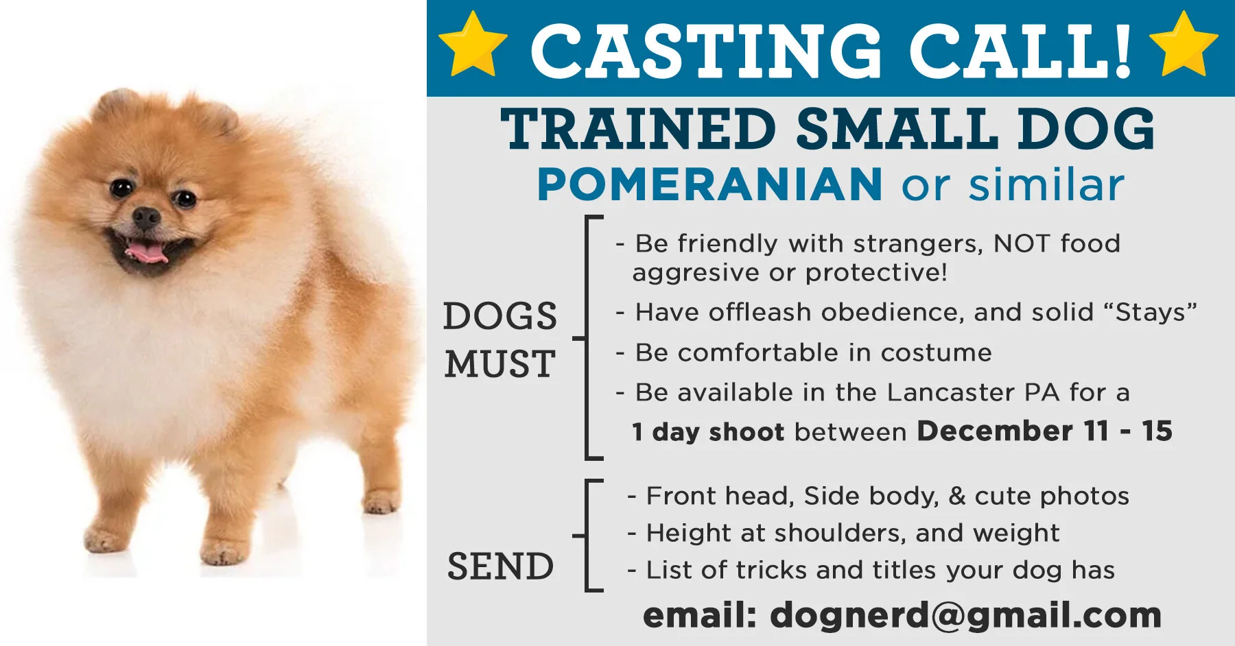 Dognerd Animal Talent Agency | Animal Actors, Casting, Production ...