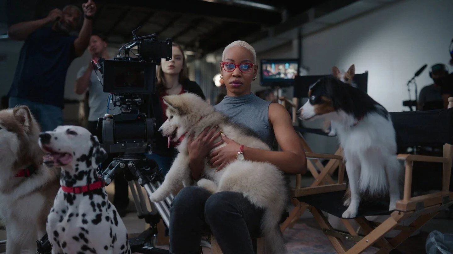 Dognerd Animal Talent Agency | Animal Actors, Casting, Production ...