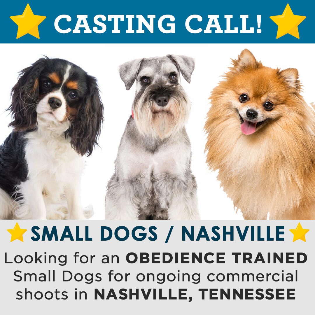 Dognerd Animal Talent Agency | Animal Actors, Casting, Production ...