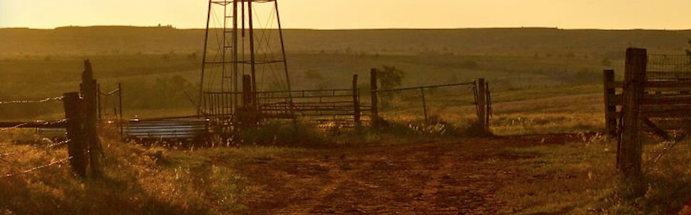 Shows — Filson Livestock Equipment