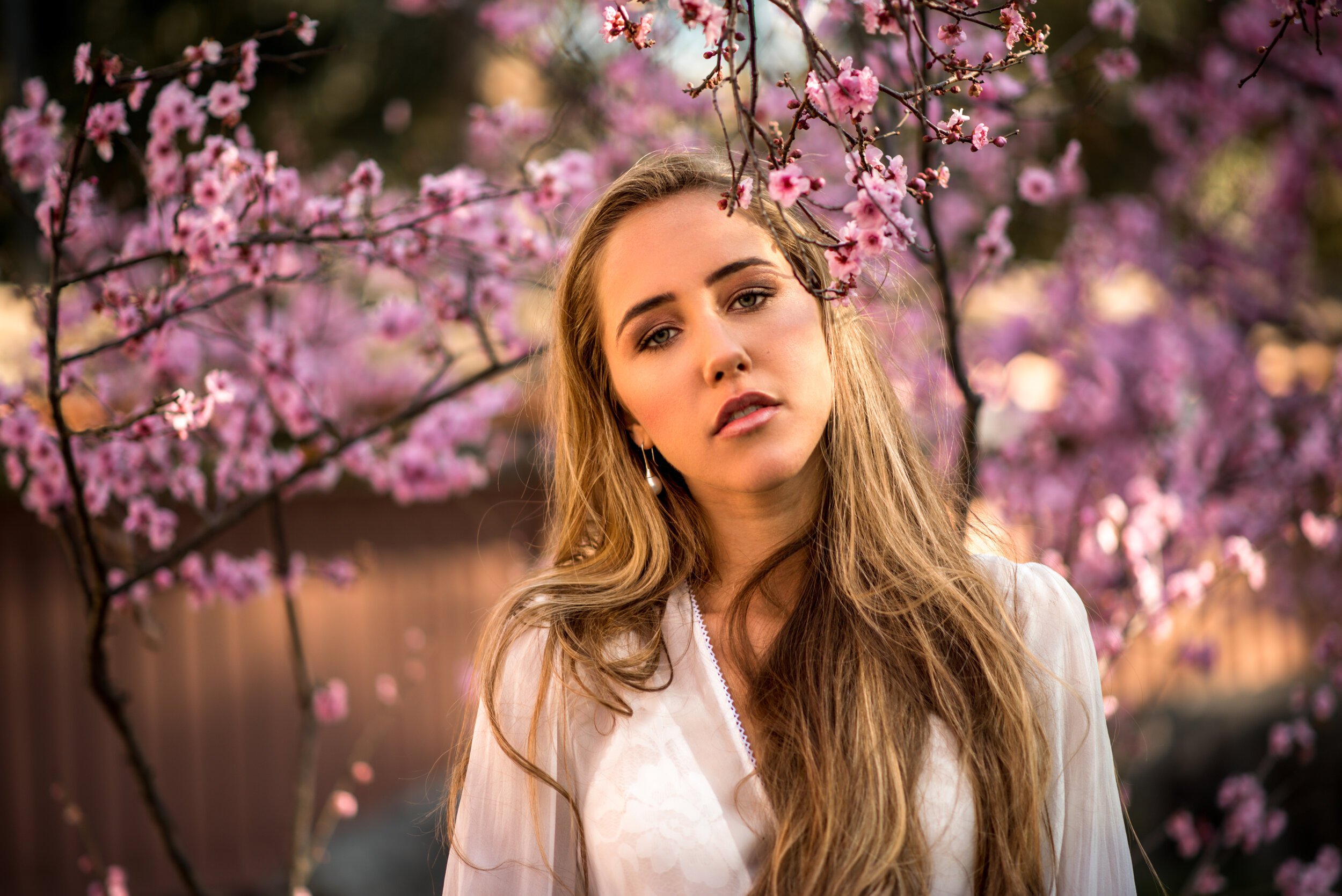 Lona Lusso Photography Gallery — Lona Lusso Media