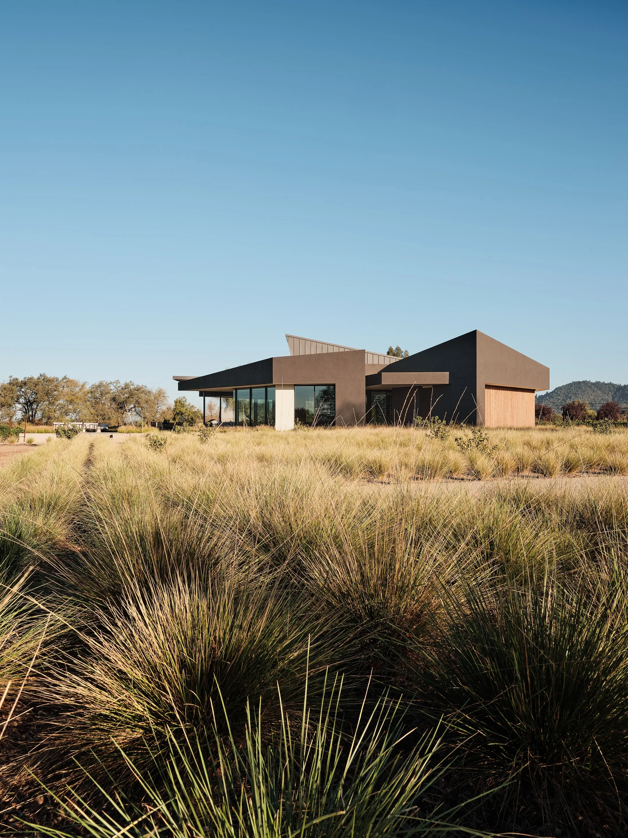 Aperture Cellars — J Geiger | Modern Motorized Window Shades