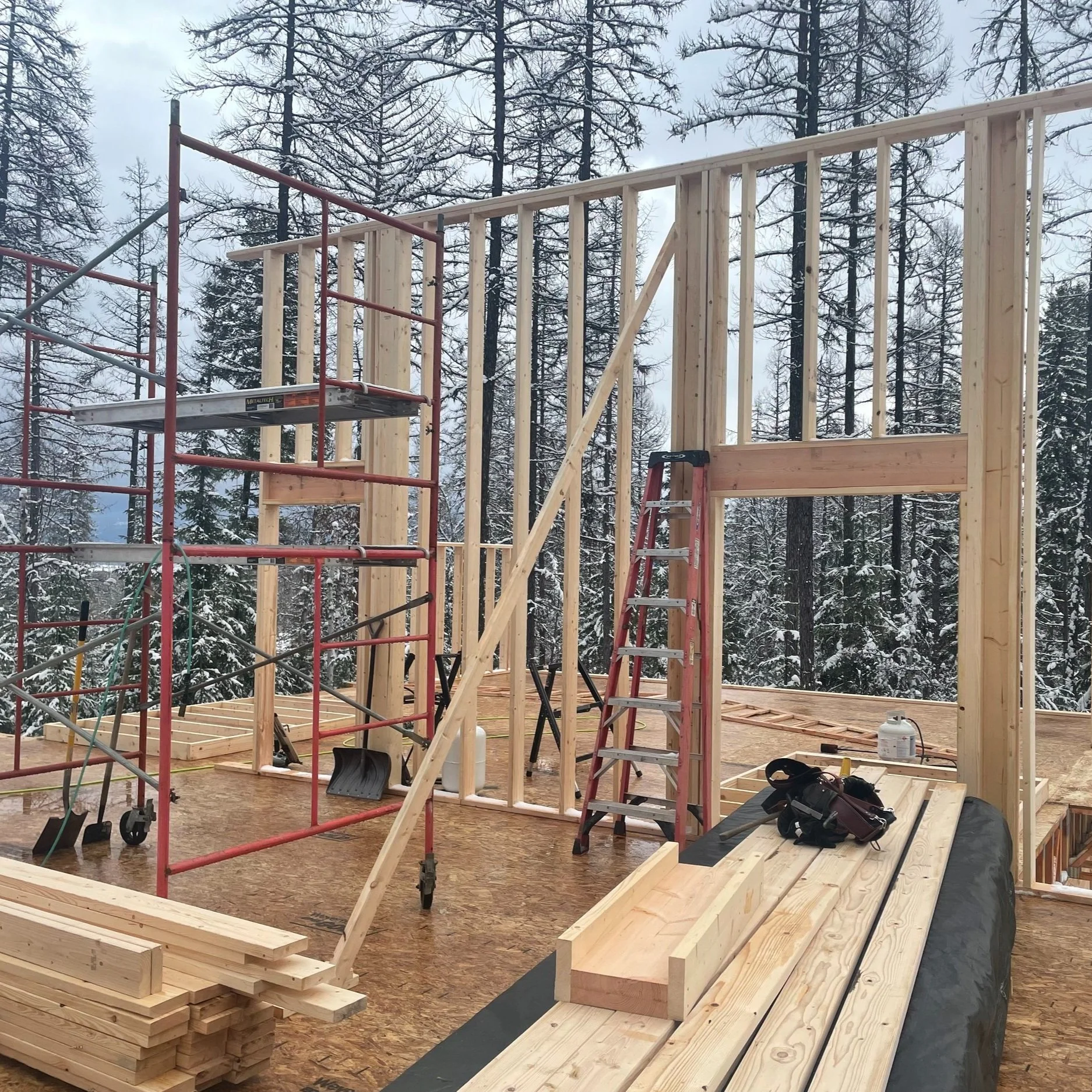 Projects — Wood Roots Construction