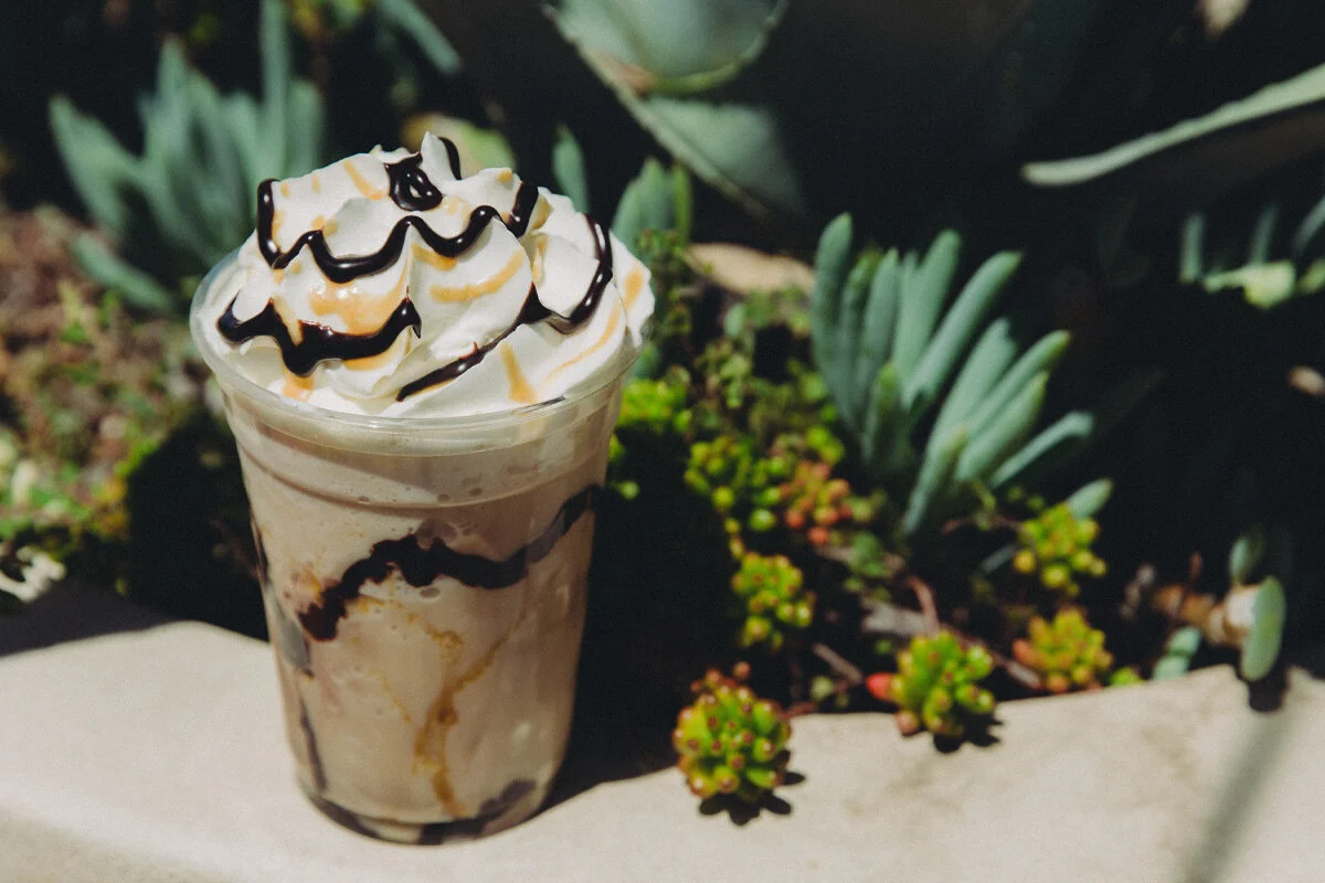 axis coffee bar + eatery