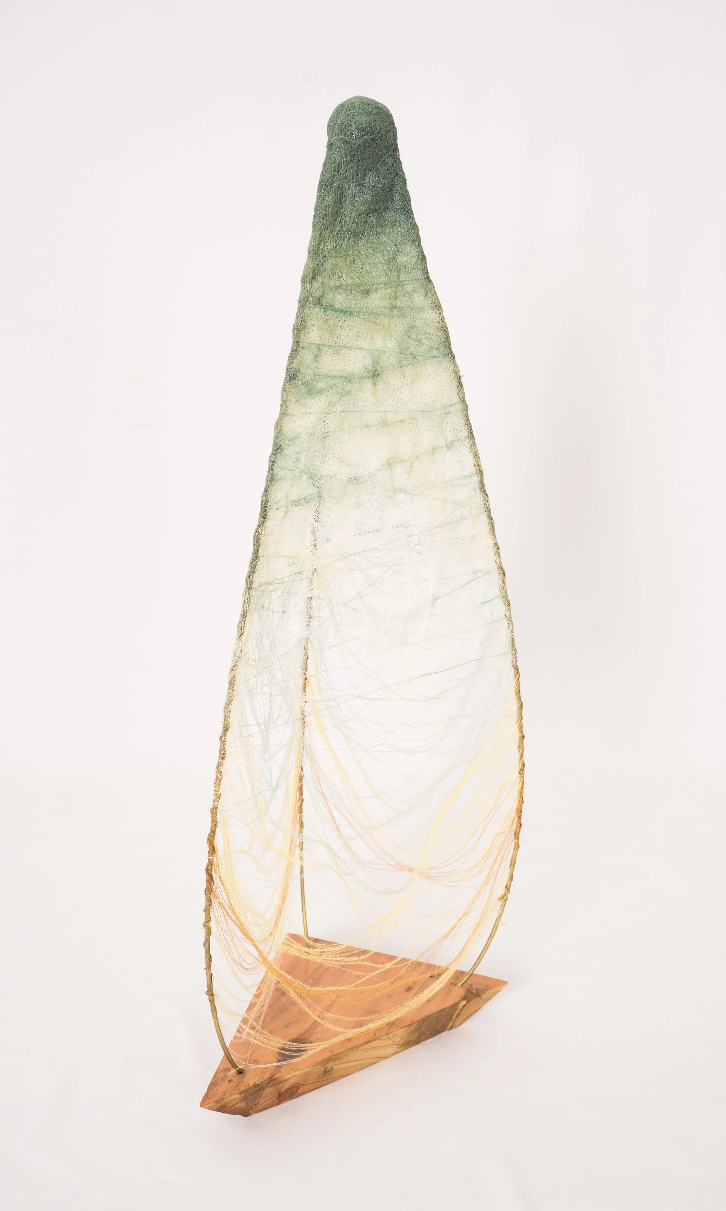 head above the clouds Gallery — Chase Lanier