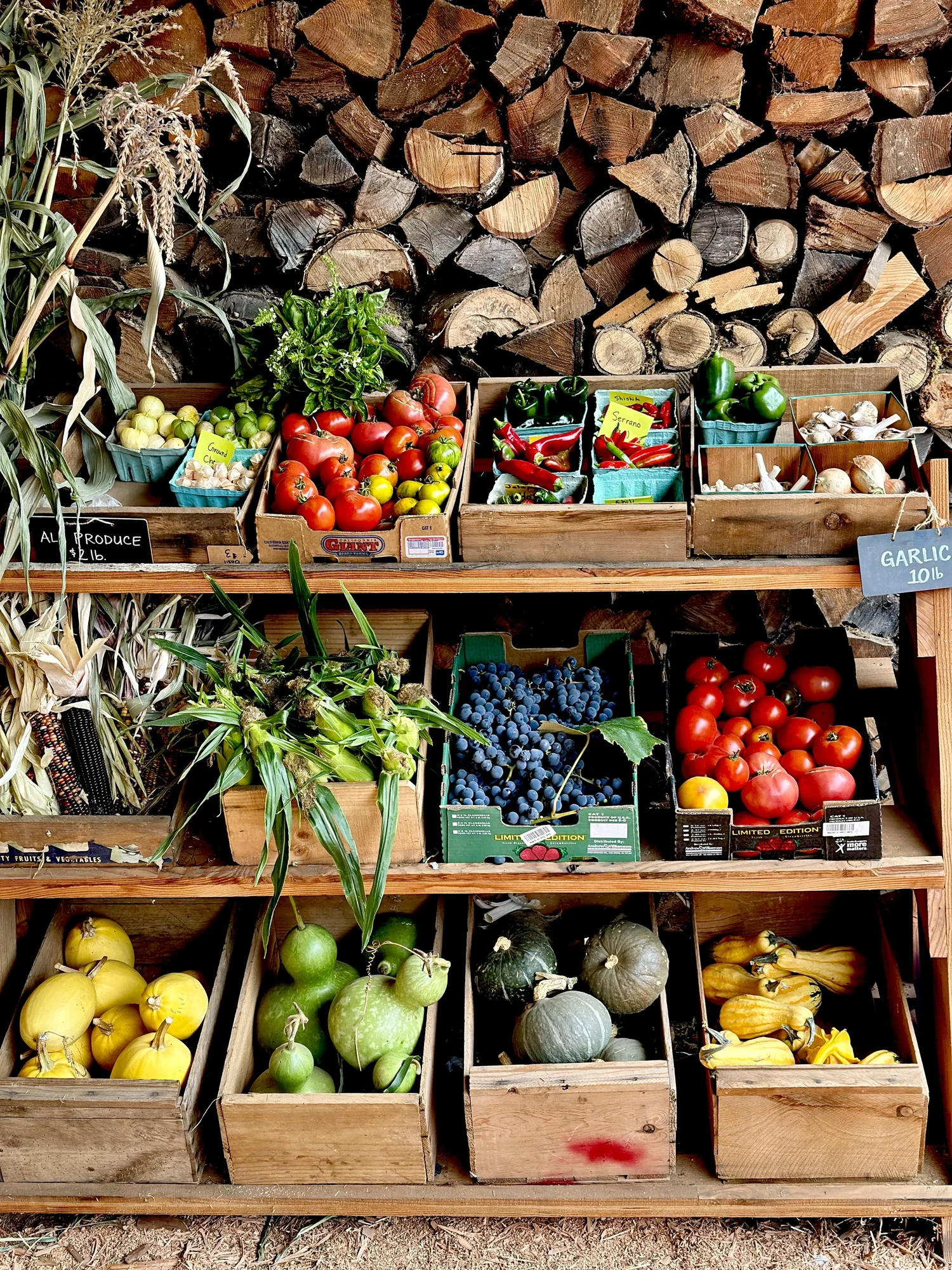 EXPERIENCE FARM LIFE