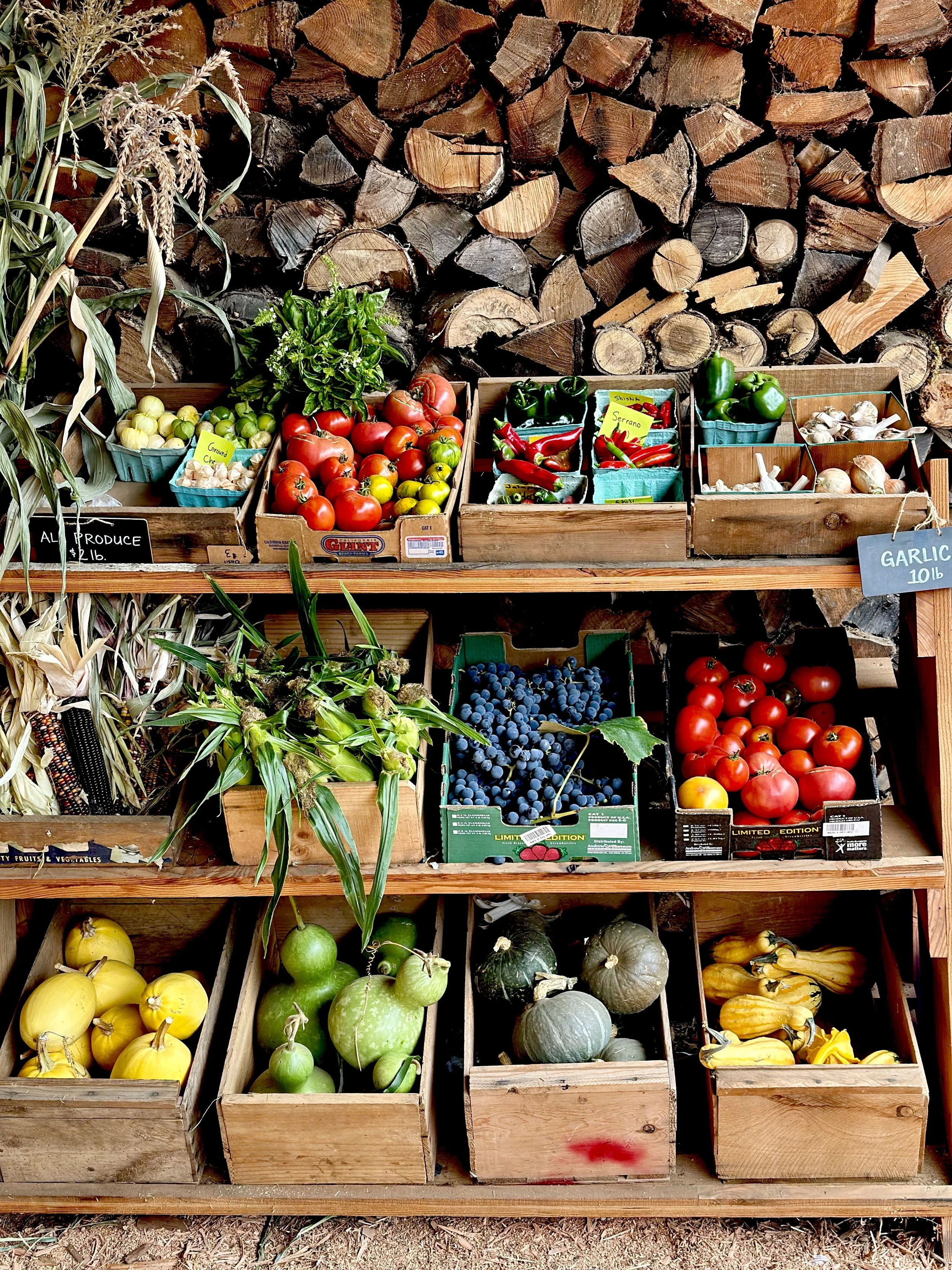 EXPERIENCE FARM LIFE