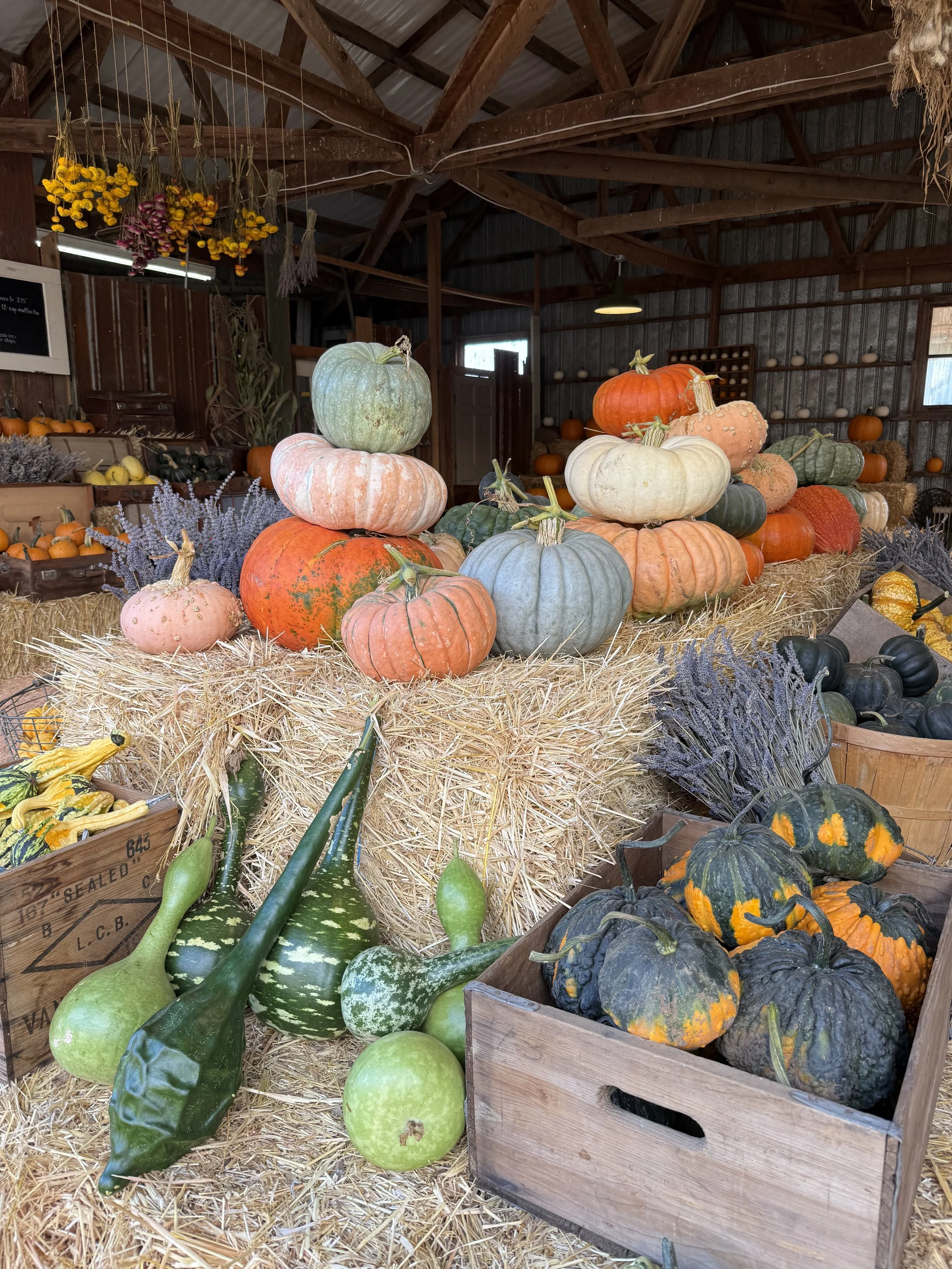 EXPERIENCE FARM LIFE