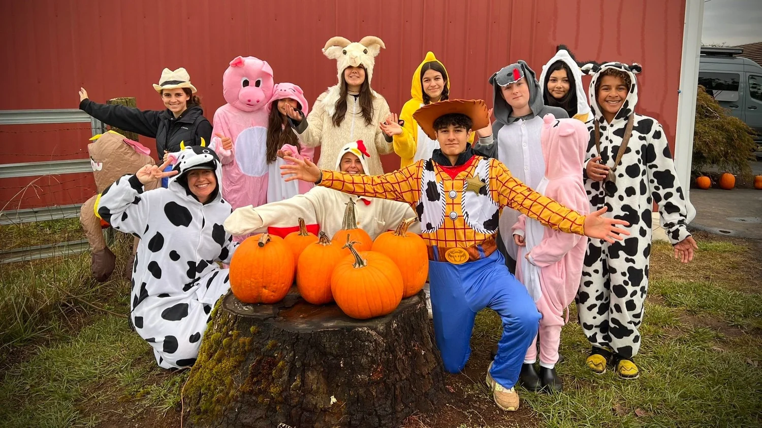 EXPERIENCE FARM LIFE