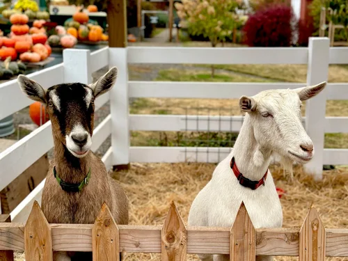 EXPERIENCE FARM LIFE