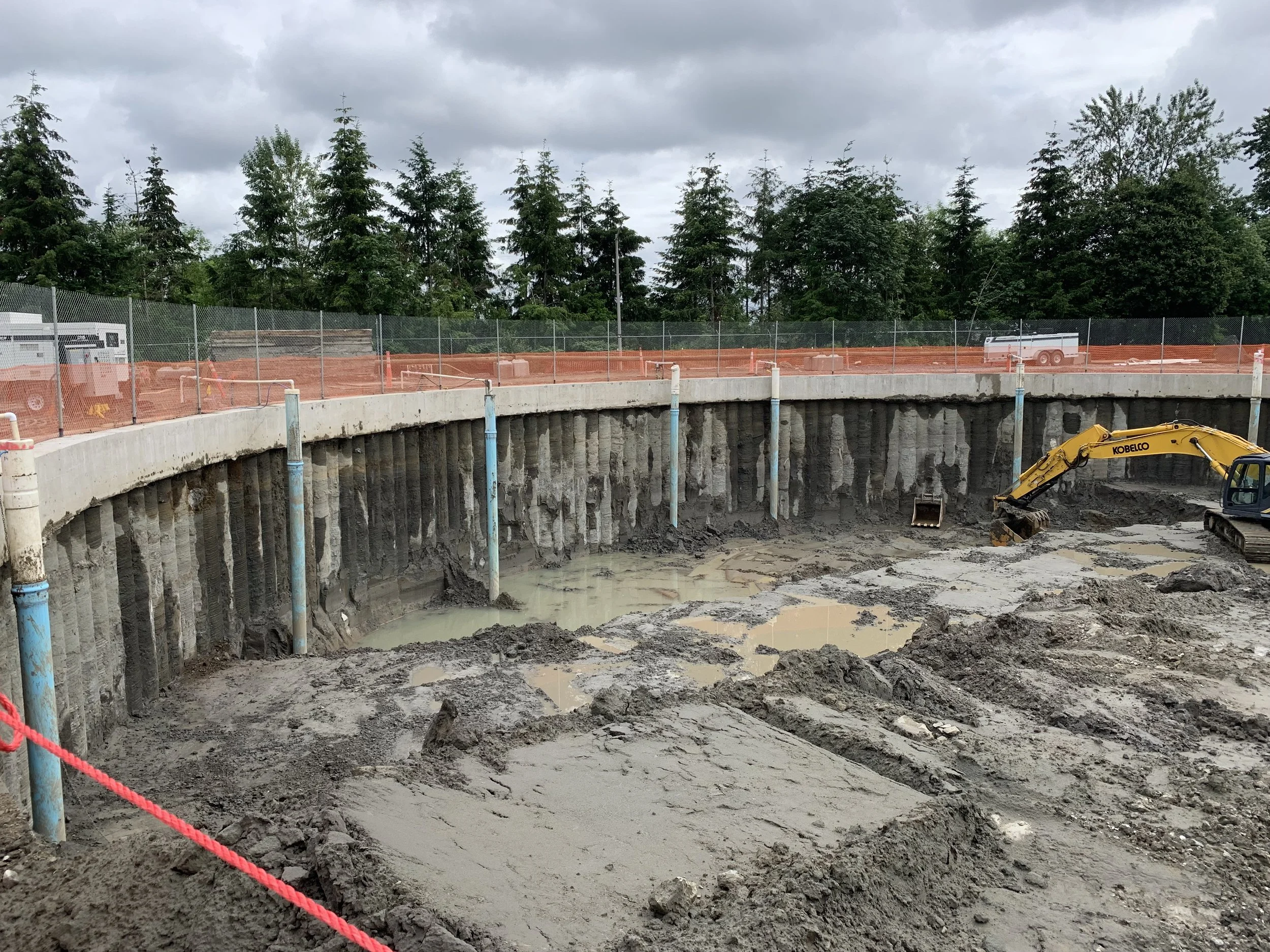 PETRICHOR CONSTRUCTORS LLC