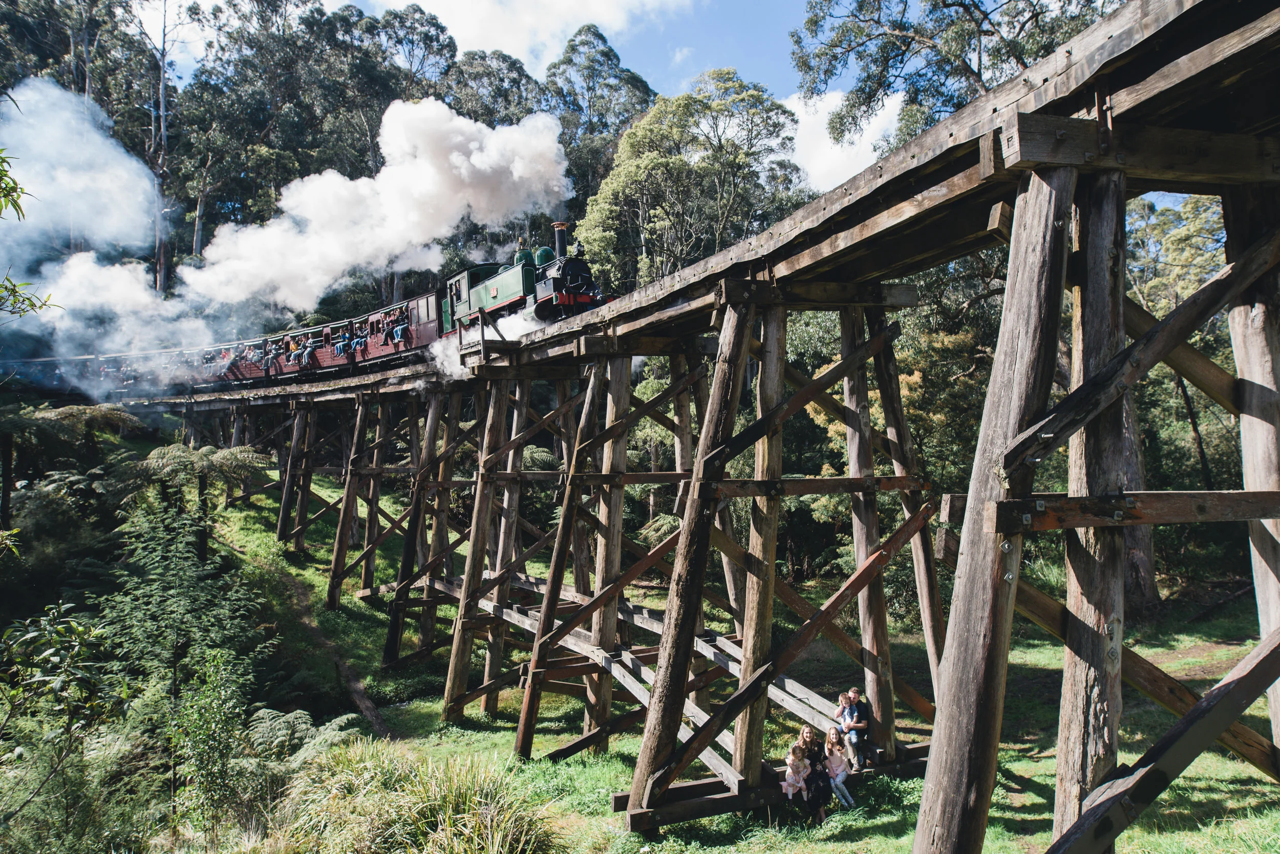 Dunlop Family — Danielle Monique