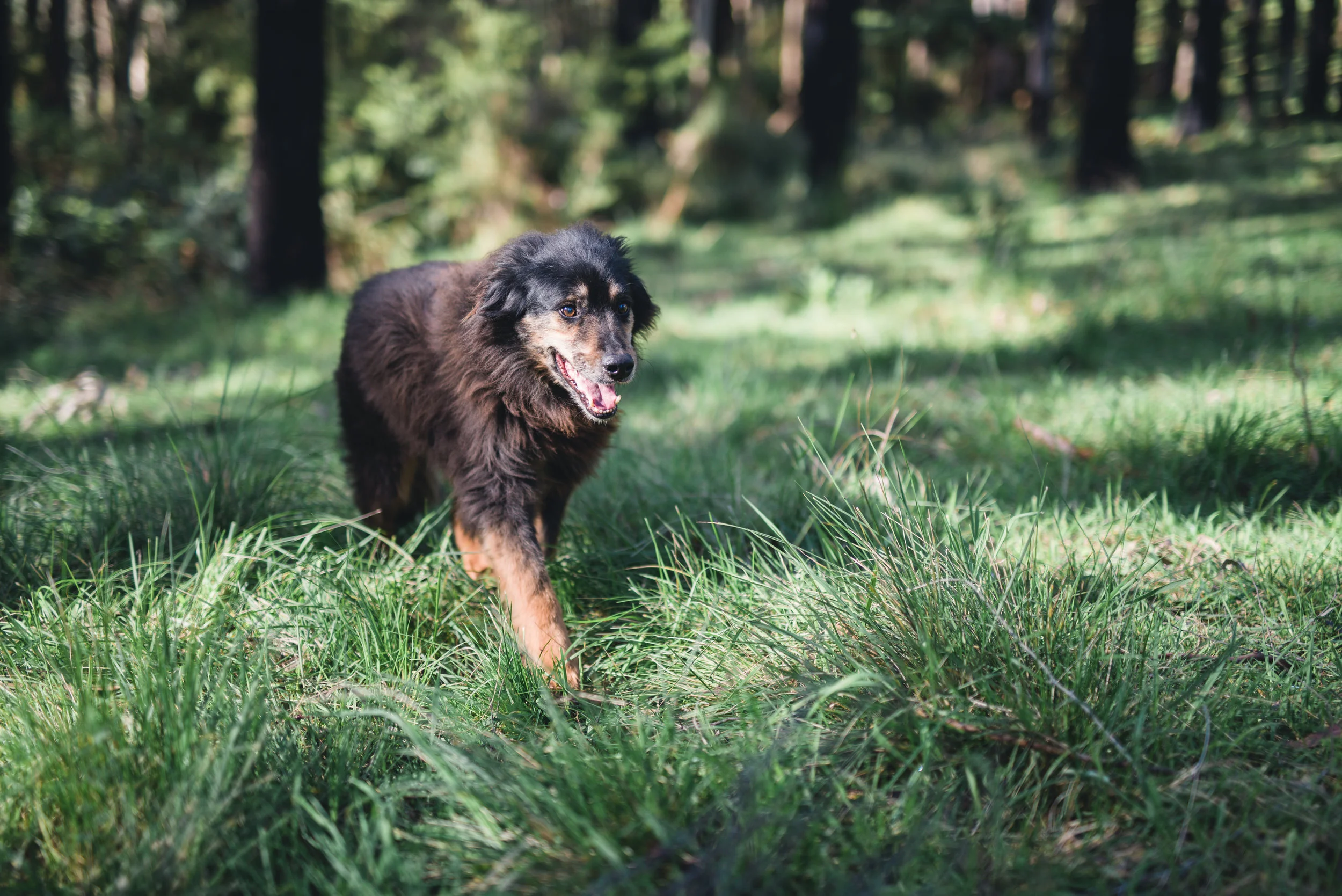 Dunlop Family — Danielle Monique