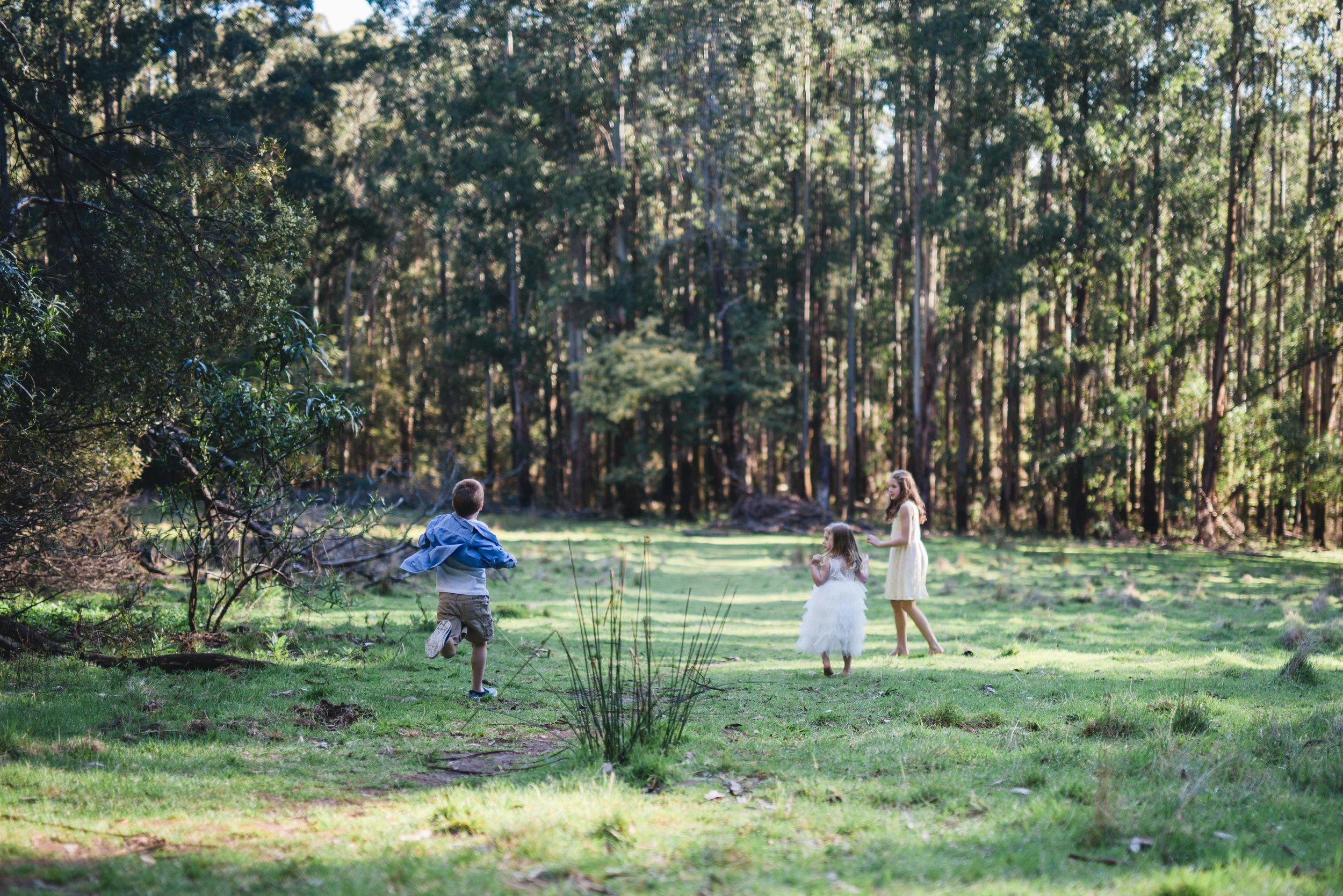 Dunlop Family — Danielle Monique