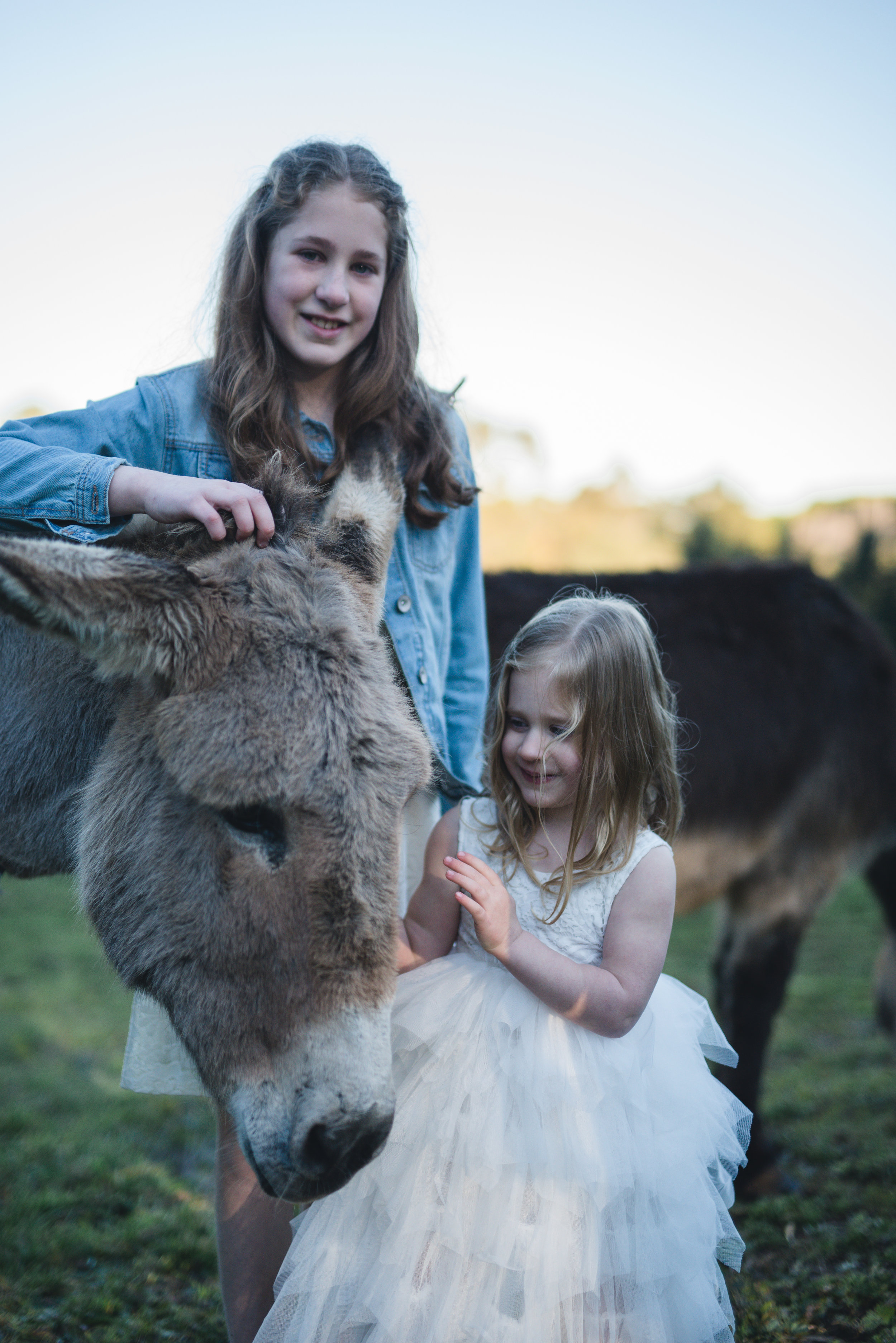 Dunlop Family — Danielle Monique