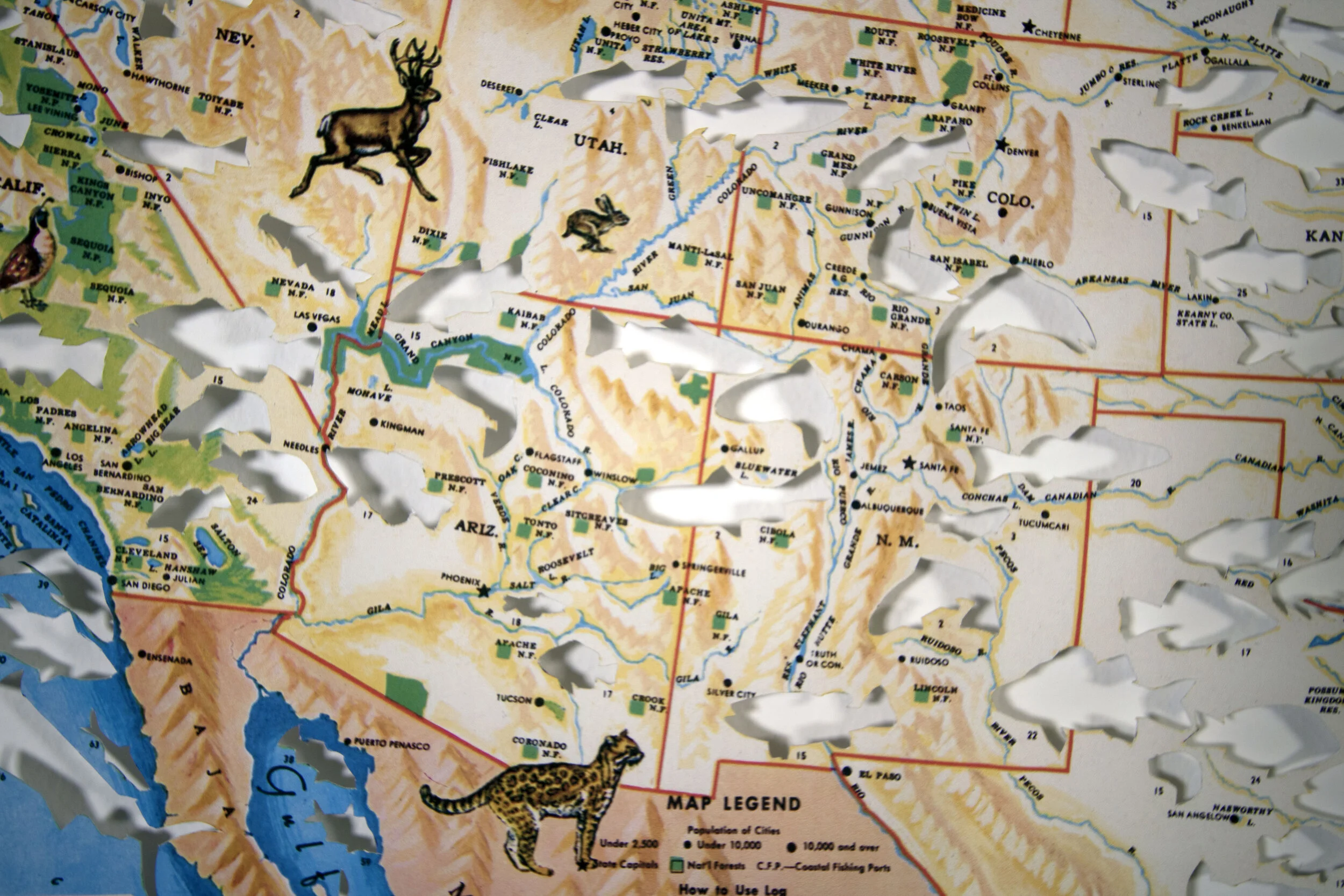 The Ocean — Marcella Marsella