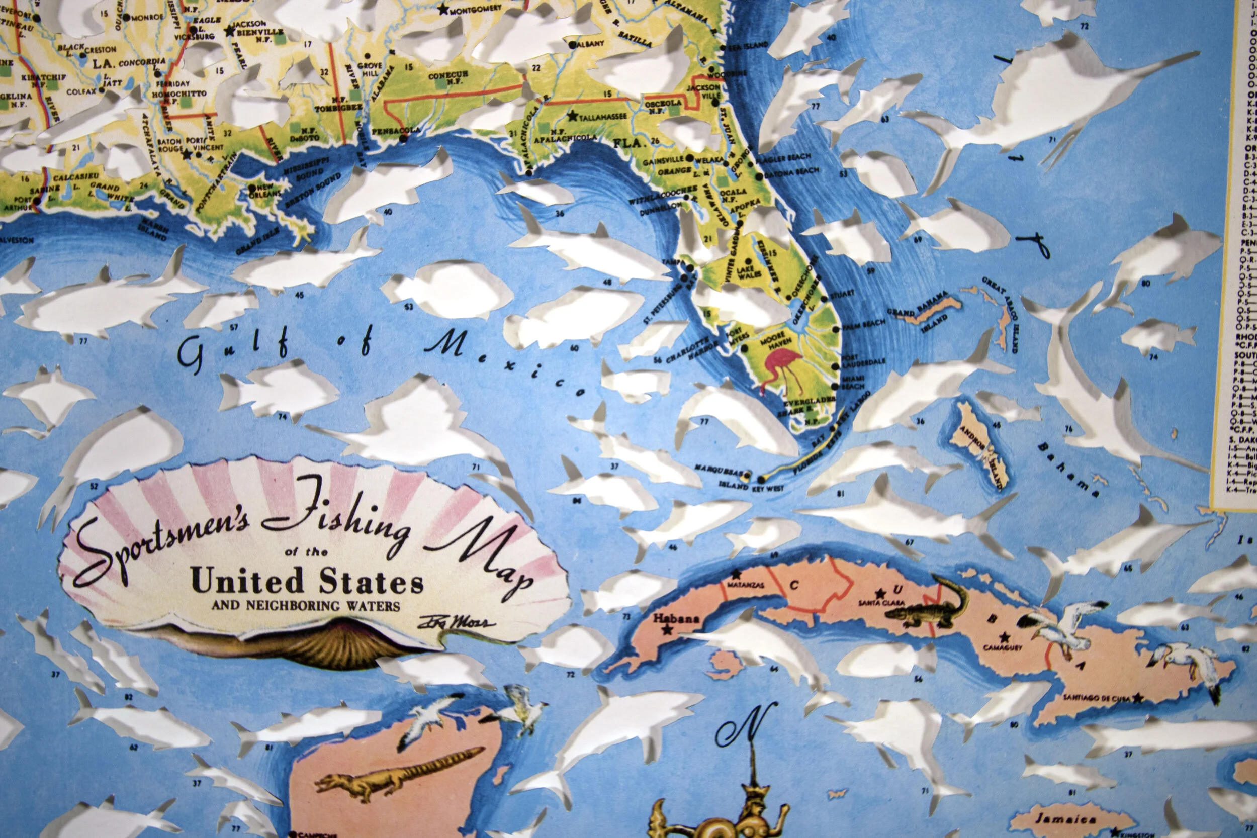 The Ocean — Marcella Marsella