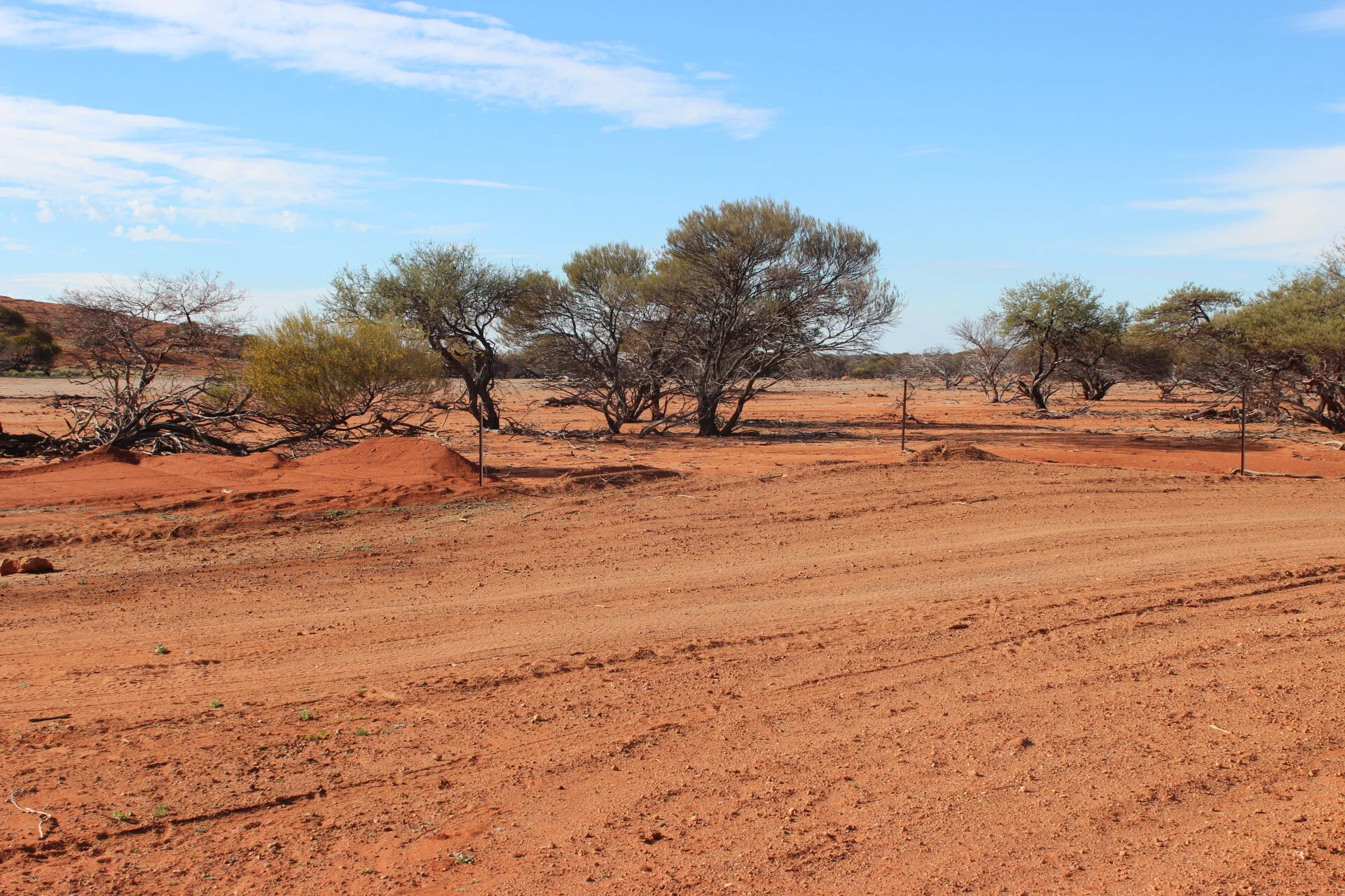 36 The Inland Starts Here Part 2 — Soil & Human Health