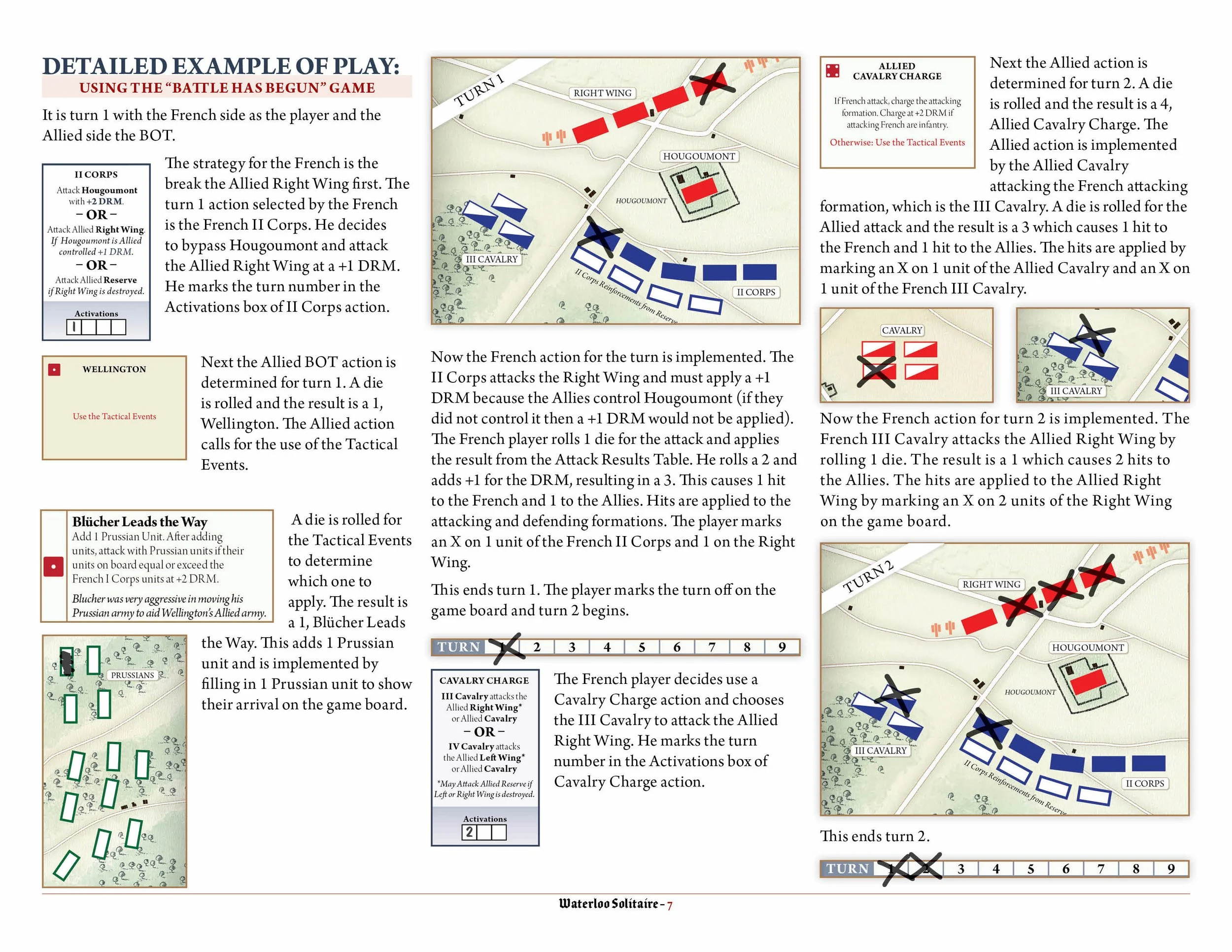 Waterloo Solitaire Bookgame — Worthington Publishing and Pungo Games