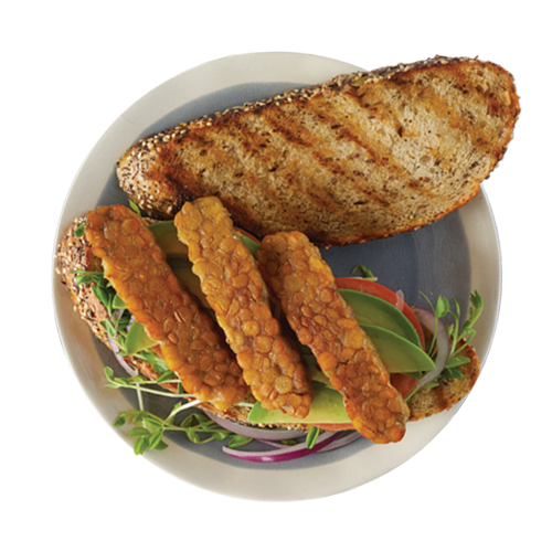 Chickpea Tempeh — Franklin Farms