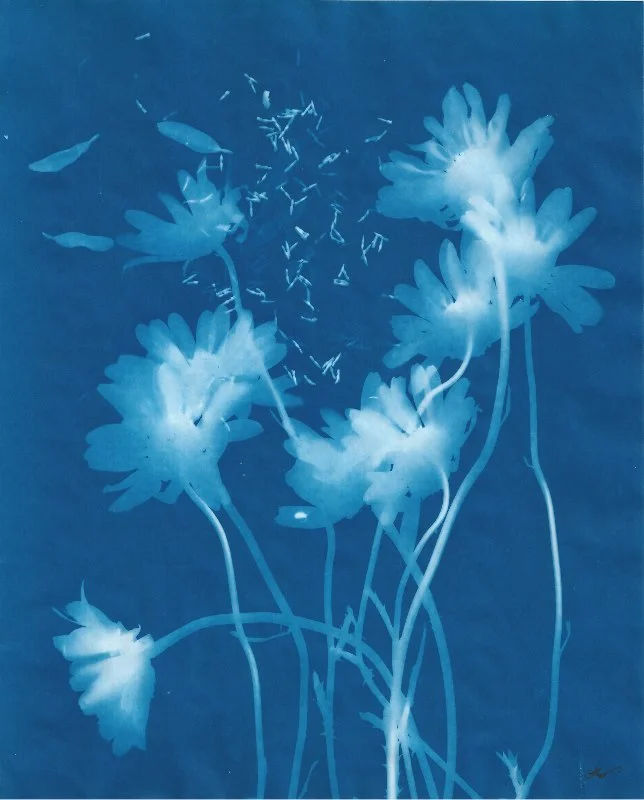 Summer Days — Kate Simms Artist