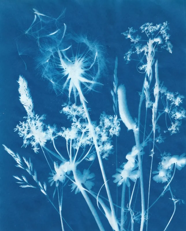 Summer Days — Kate Simms Artist