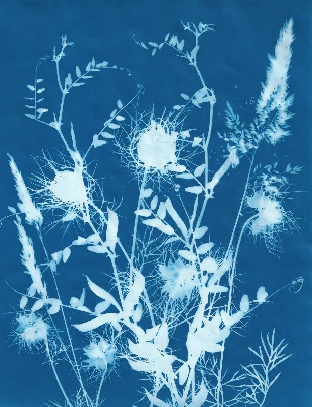 Summer Days — Kate Simms Artist