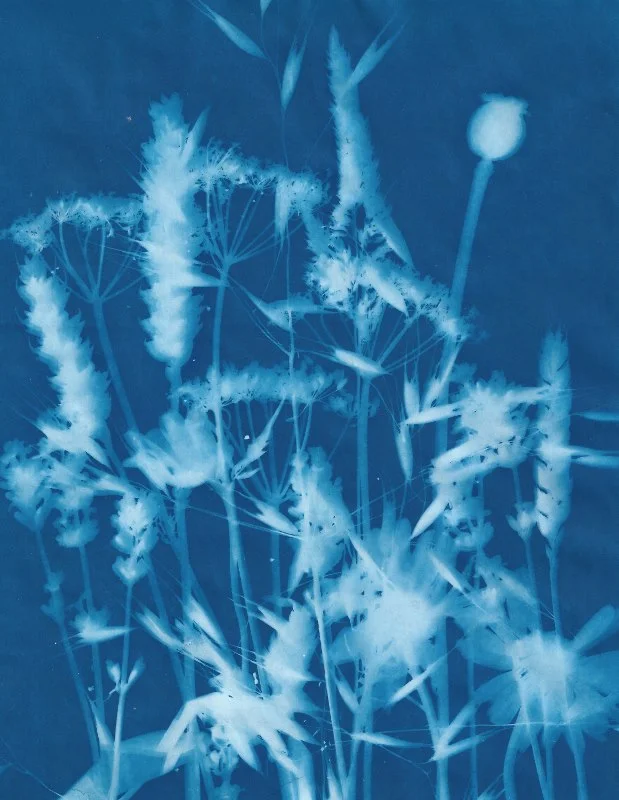 Summer Days — Kate Simms Artist