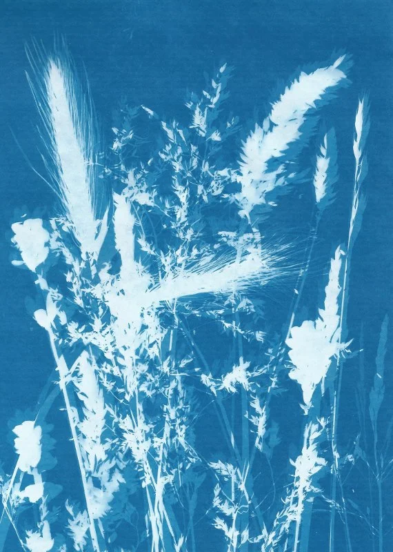 Summer Days — Kate Simms Artist