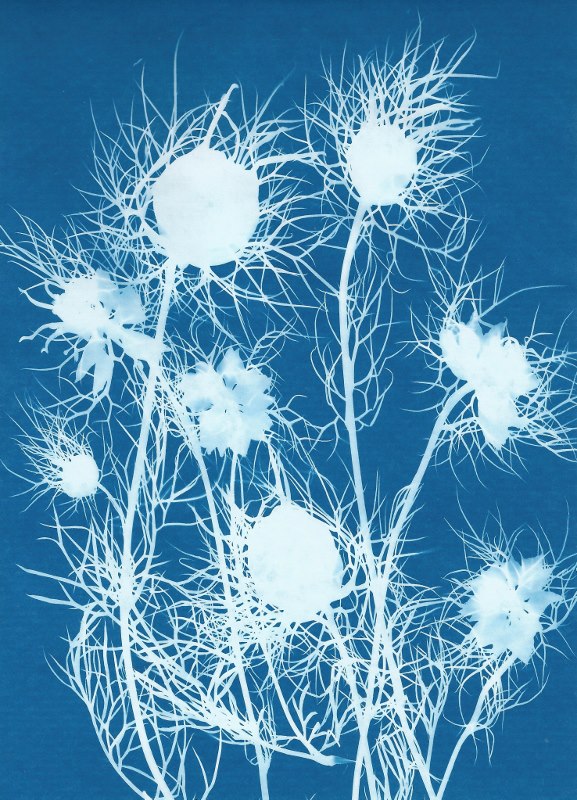 Summer Days — Kate Simms Artist