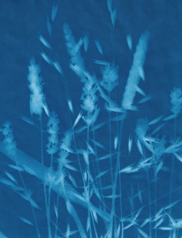 Summer Days — Kate Simms Artist