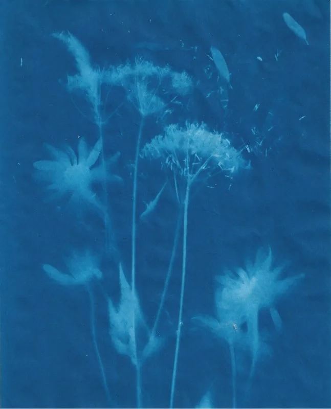 Summer Days — Kate Simms Artist