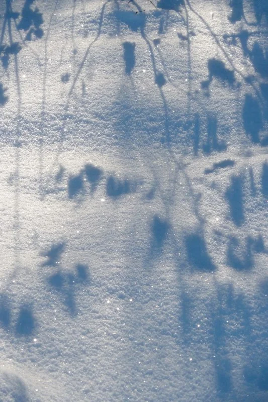 Snow — Kate Simms Artist