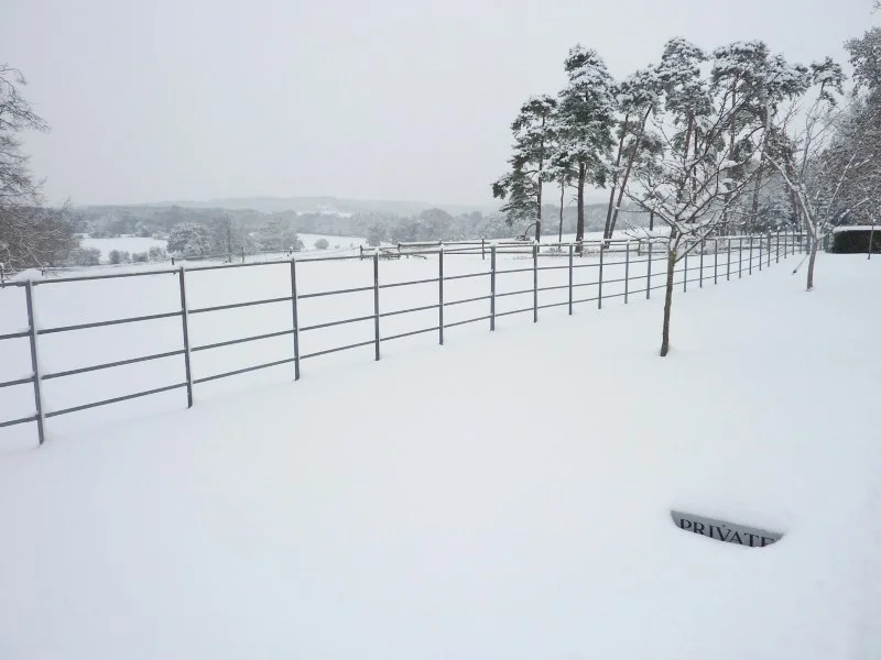 Snow — Kate Simms Artist