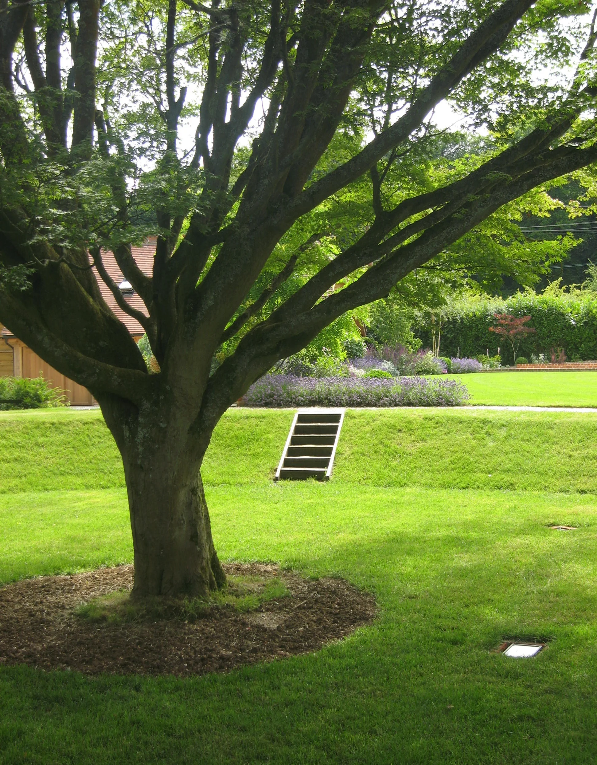 Josephine Burns Landscape Design