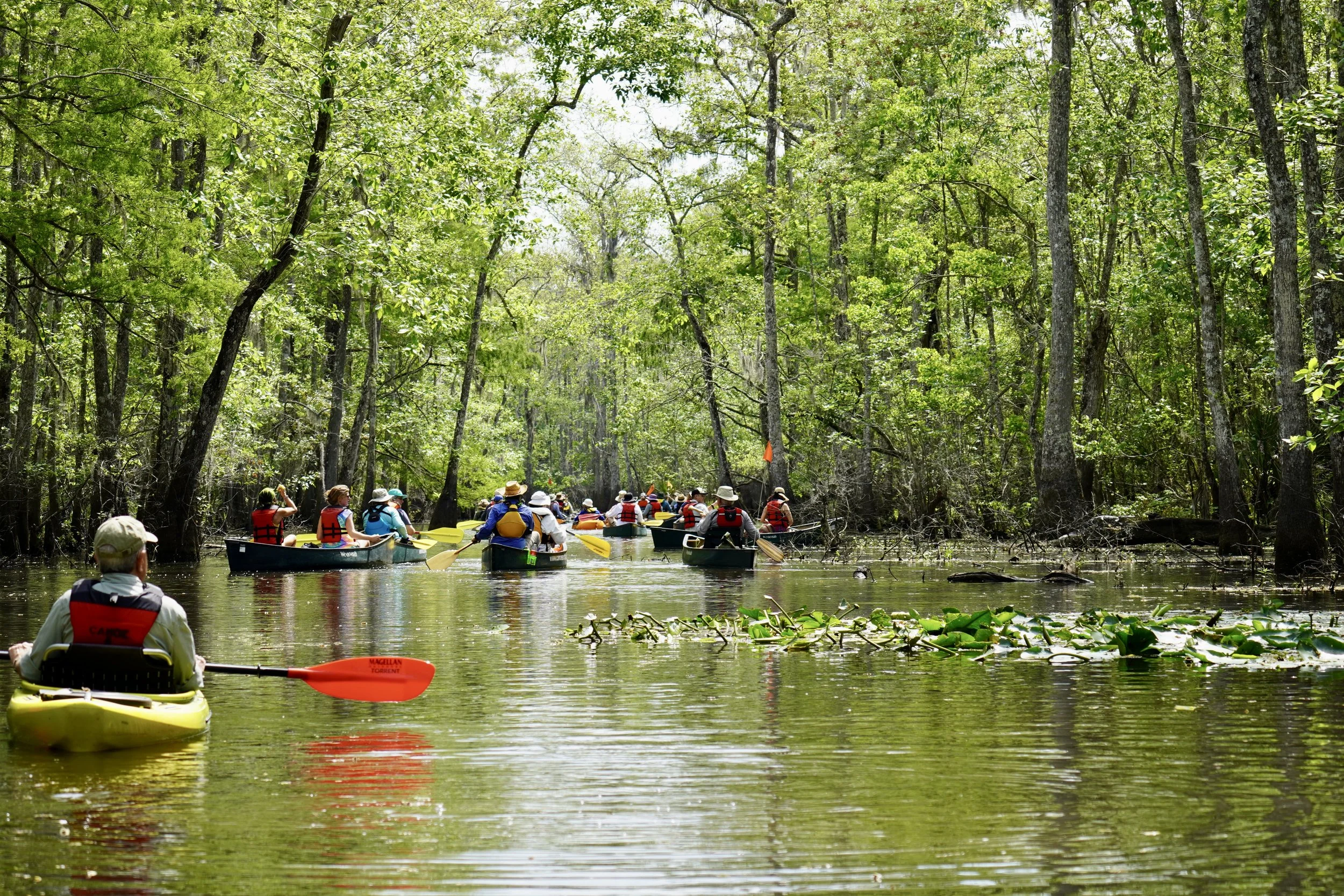 Canoe & Trail Adventures